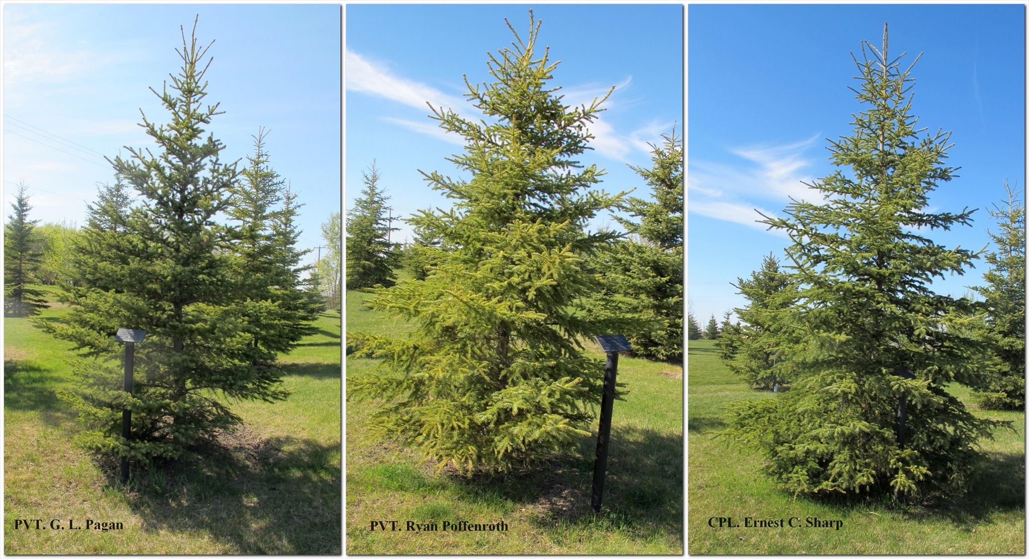 Crossfield - Alberta, Canada - Wikipedia Entries on Waymarking.com