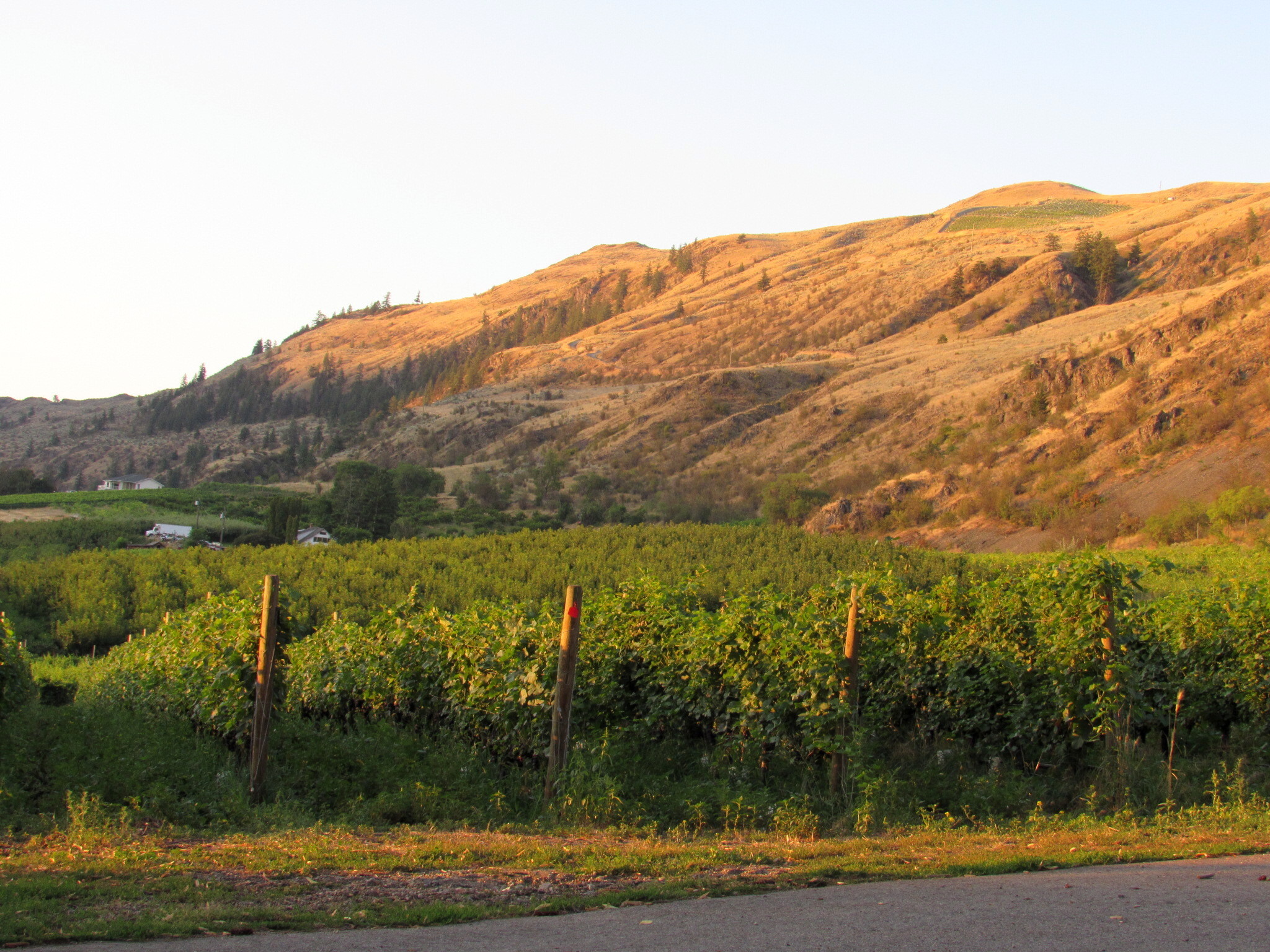 Maverick Estate Winery - Oliver, British Columbia - Named Farms and ...