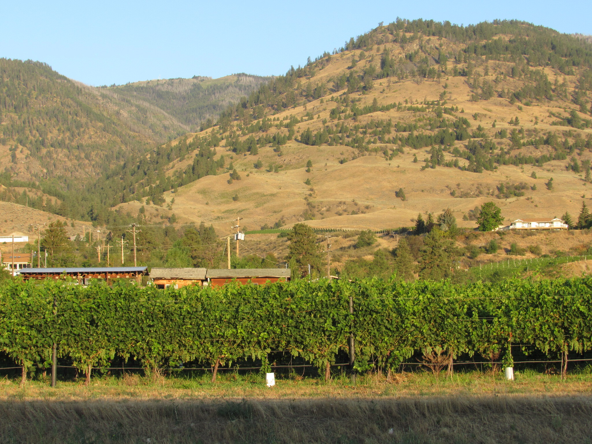 Oak & Sparrow Estate Winery - Oliver, British Columbia - Named Farms ...
