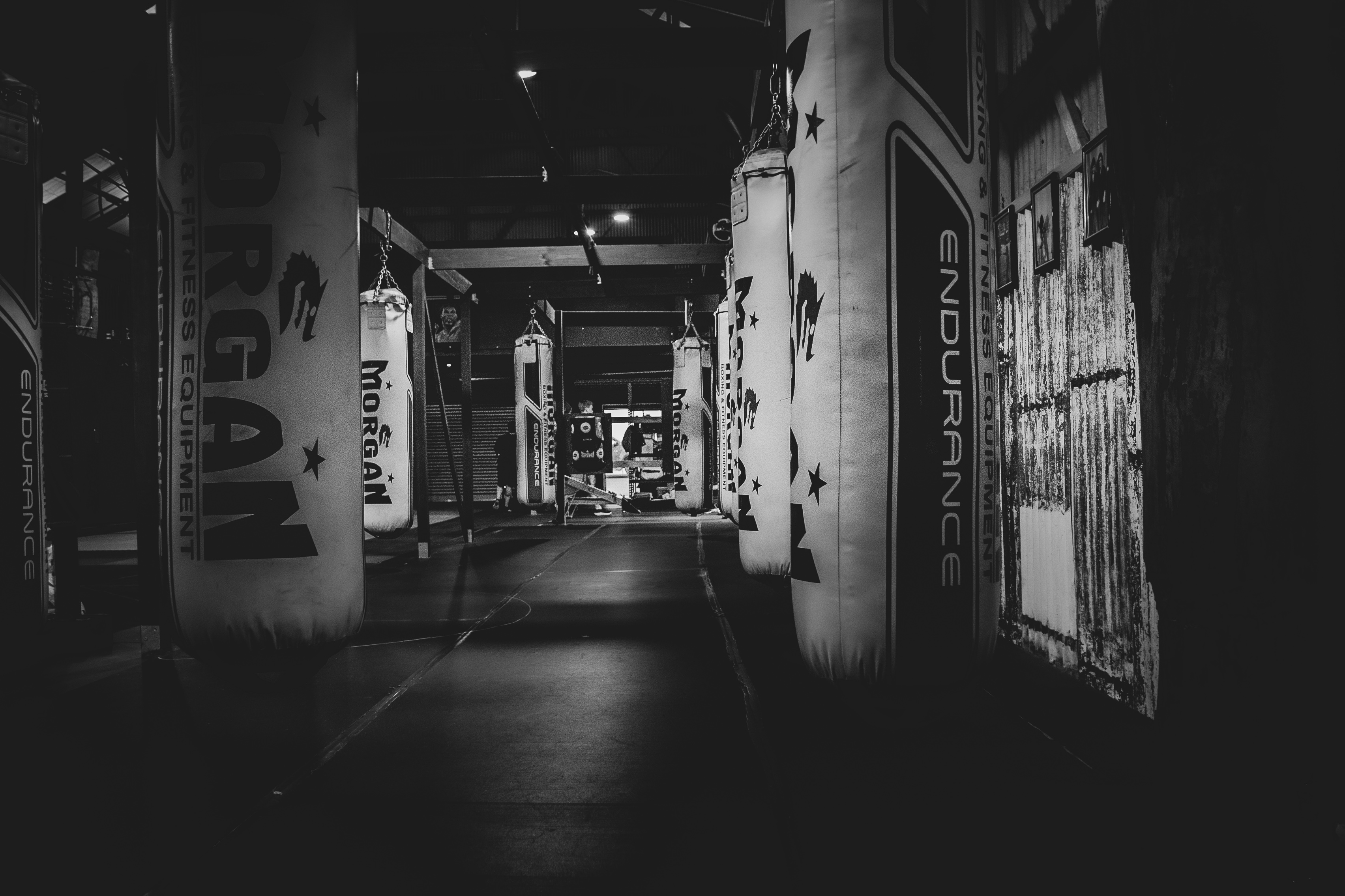 GeoSnapShot | Find photos from Revolution Boxing & Combatives