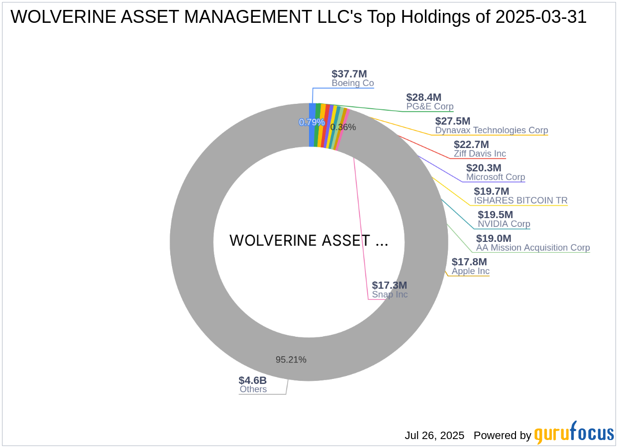 Wolverine Asset Management LLC Increases Stake in Future Vision