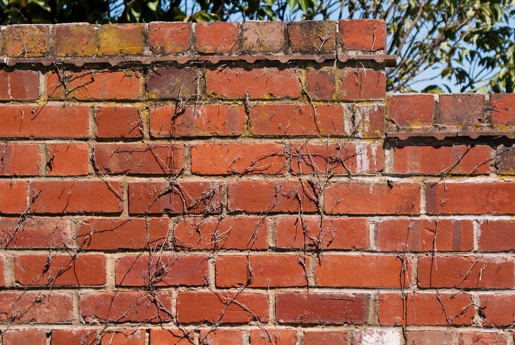 'Technology-Enhanced Retention' and Other Ed-Tech Interventions