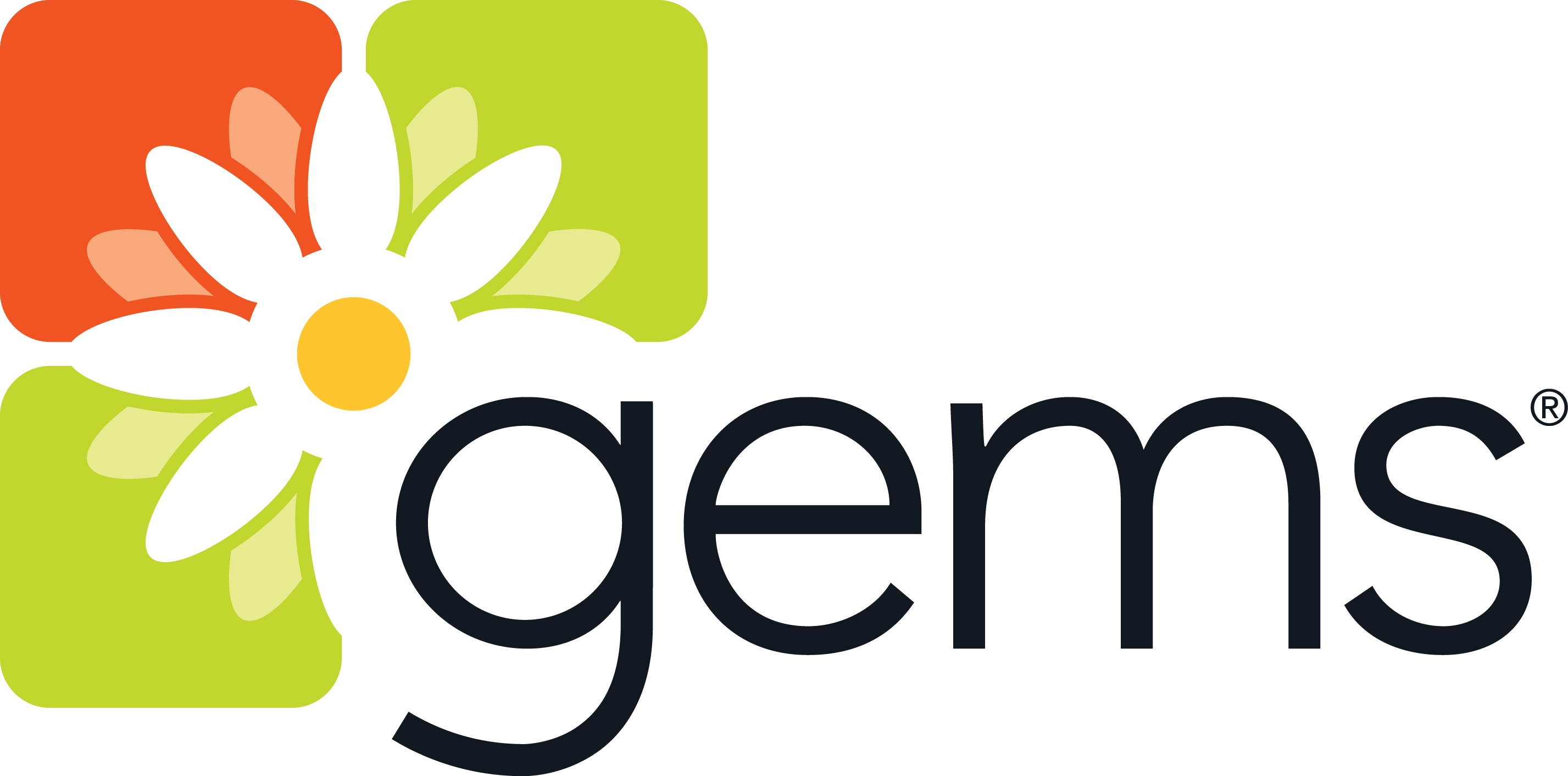 Team Page for Gems Group, Inc.