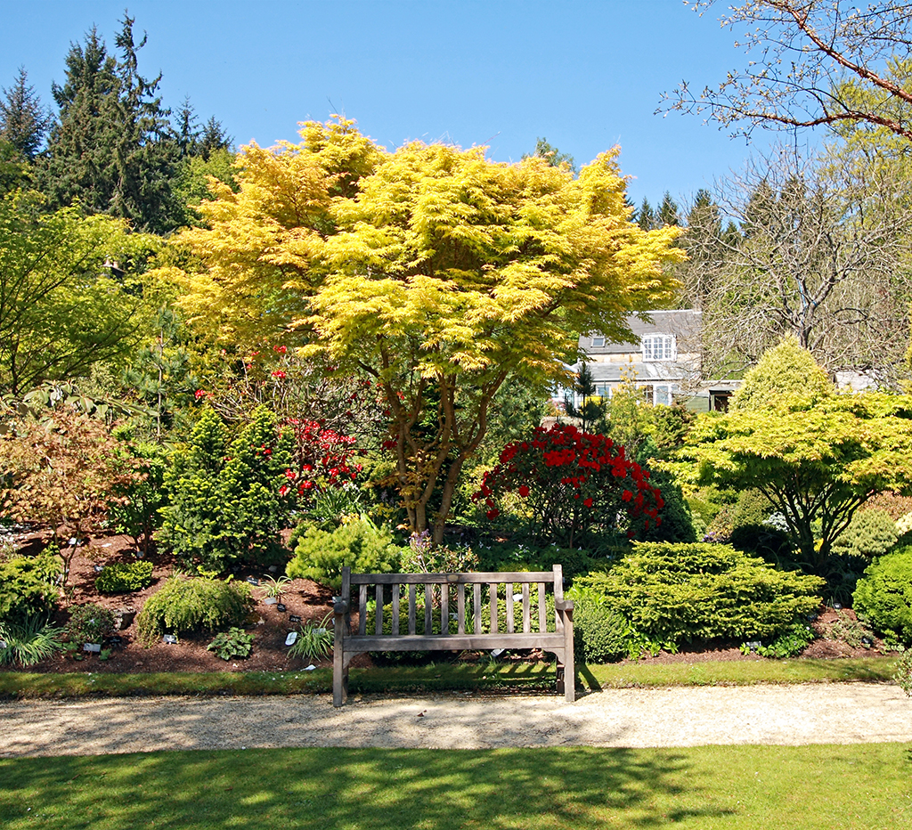 Deep Dive: Best Practices for Native Landscaping in the Northeast ...