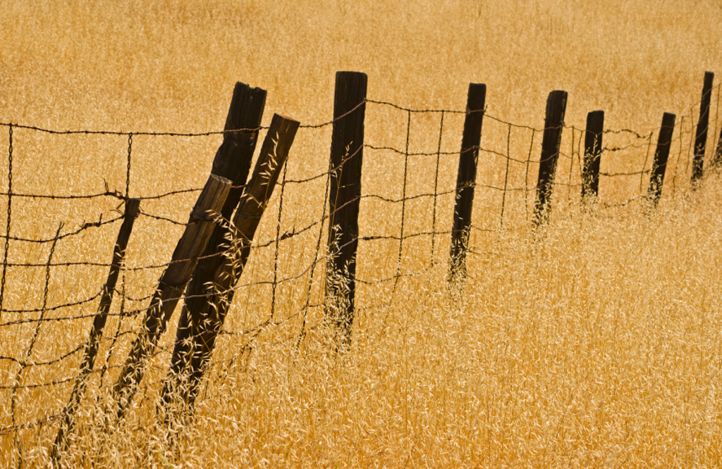 California Boundaries and Easements - HalfMoon Education, Inc