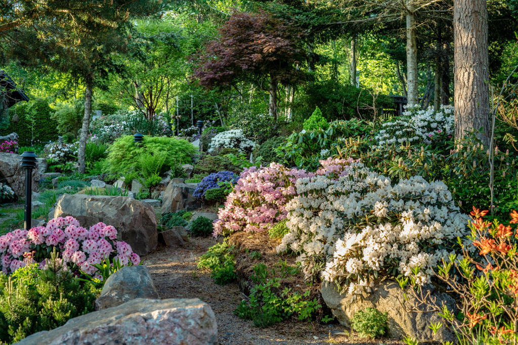 The Successful Native Landscape: Common Mistakes and How to Avoid Them ...