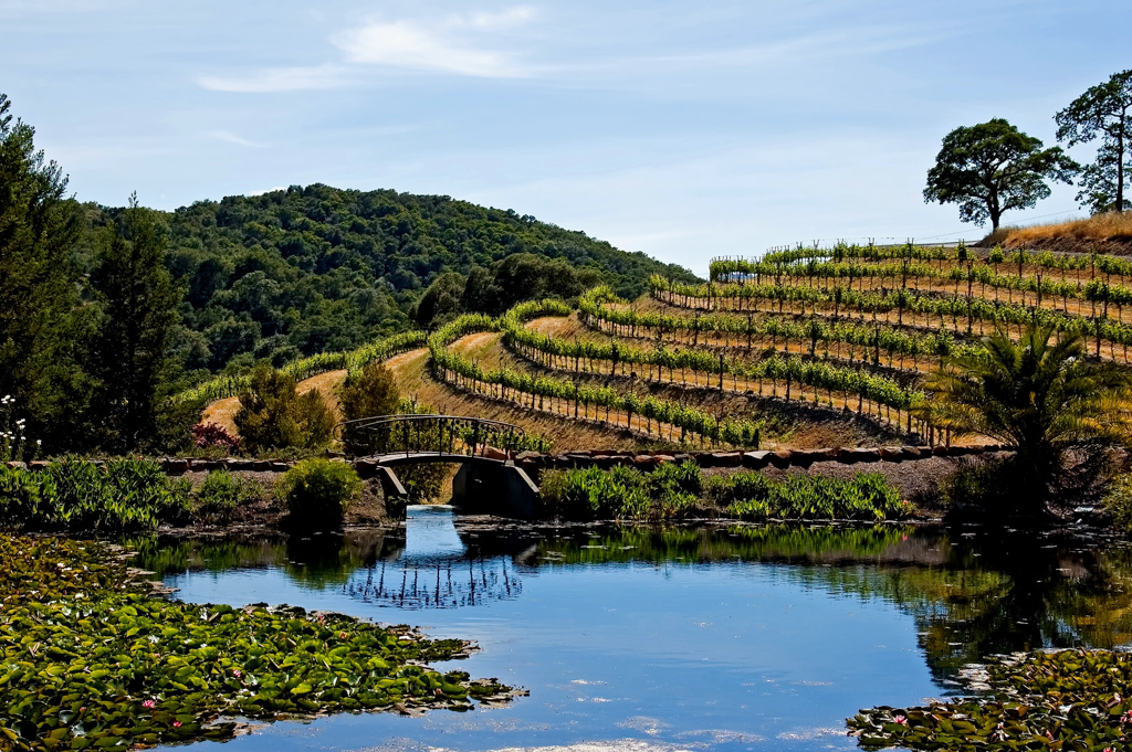 Stormwater Basins and Underground Systems - HalfMoon Education, Inc