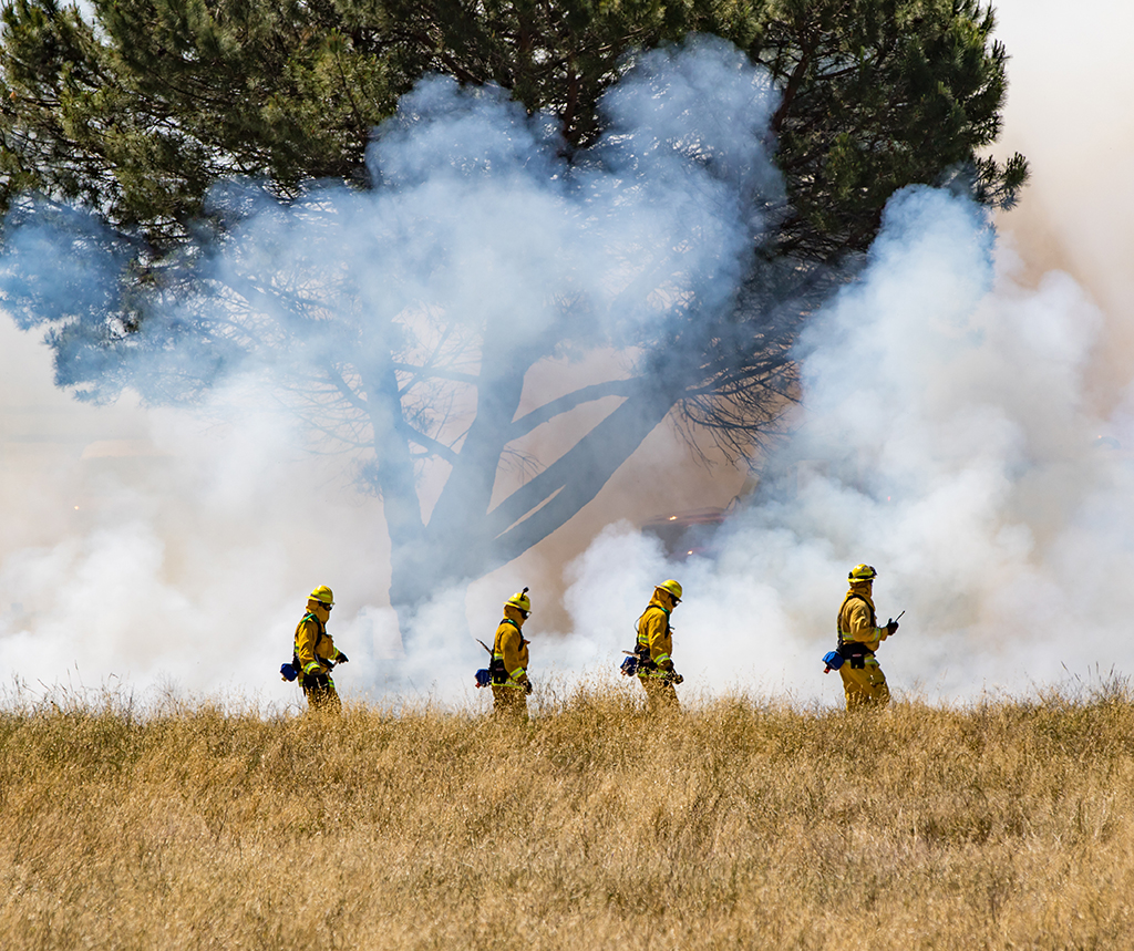 Fire-Resistant Landscapes and Construction - HalfMoon Education, Inc