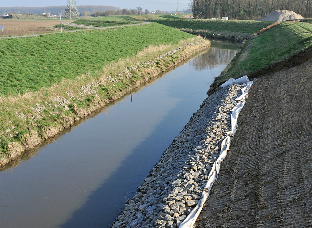 Focus on Natural Restoration - HalfMoon Education, Inc