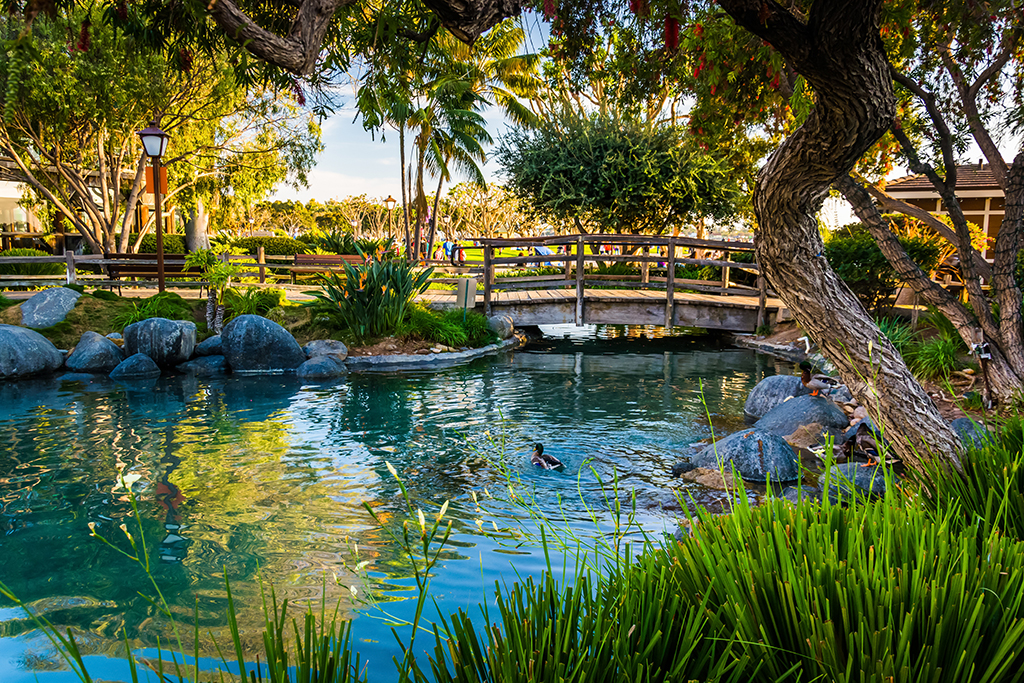 Design, Ecology and Maintenance of Ponds - HalfMoon Education, Inc