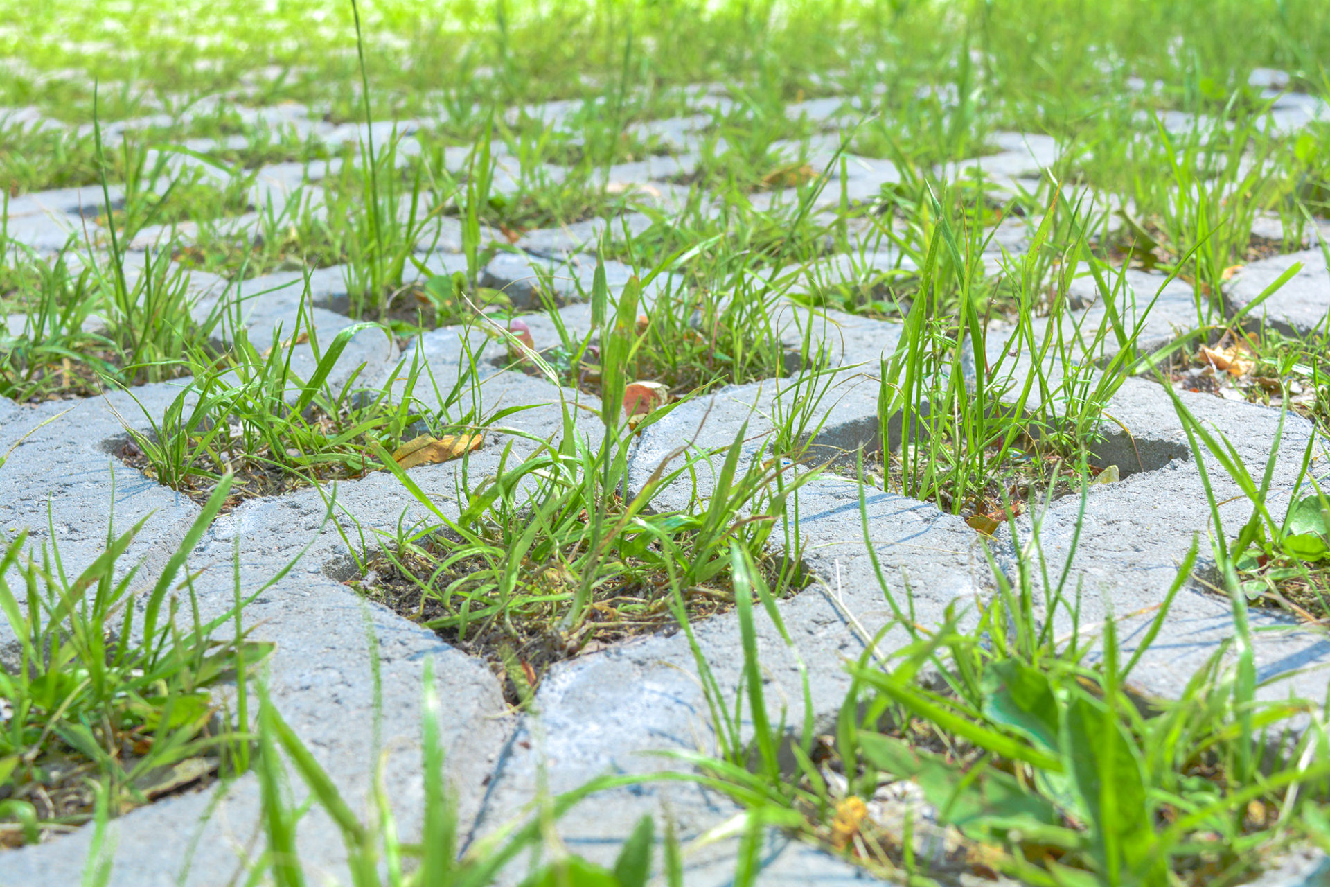 How to Design, Construct and Maintain a Cost-Effective Permeable ...