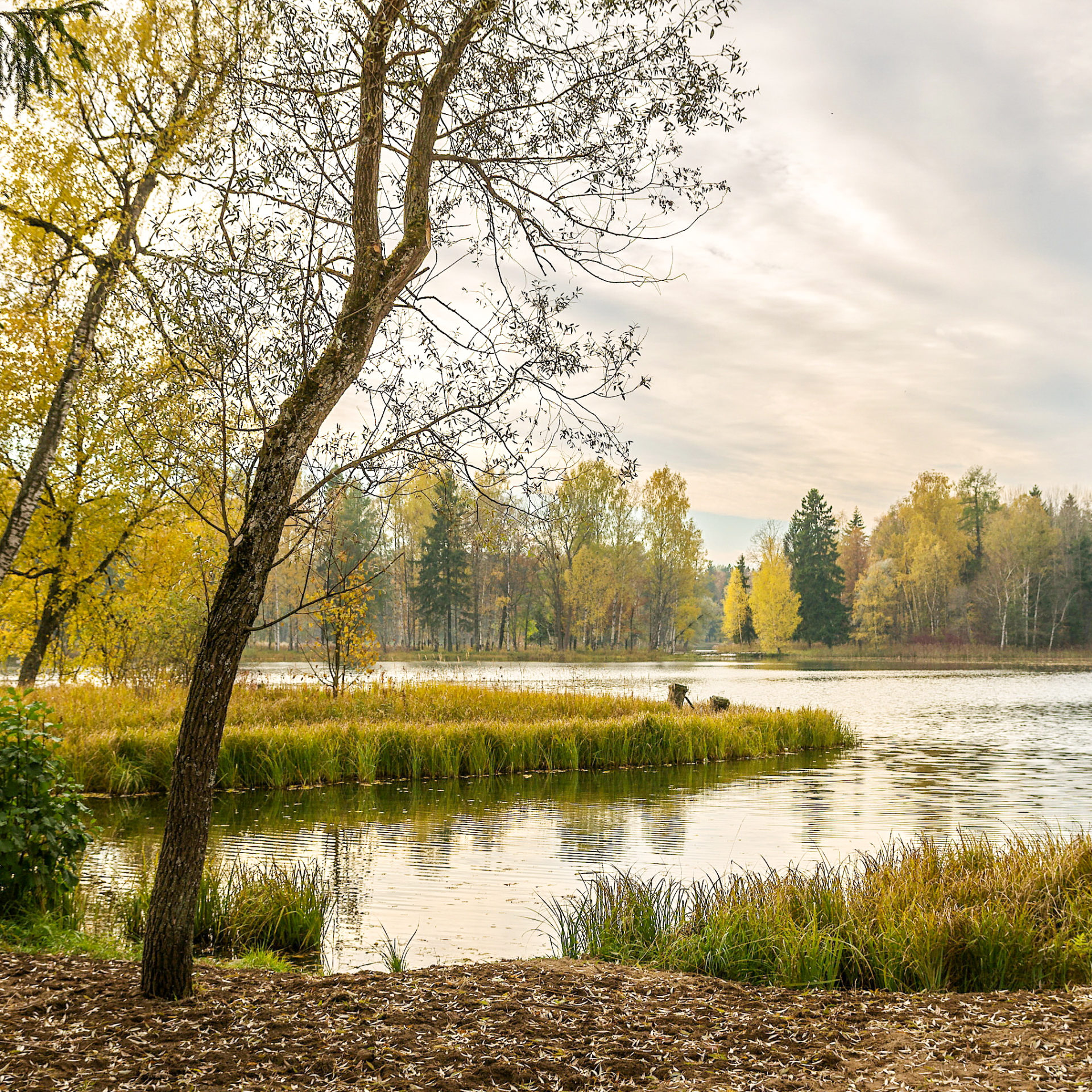 Shoreline Protection - Lakes, Ponds and Other Inland Waters - HalfMoon ...