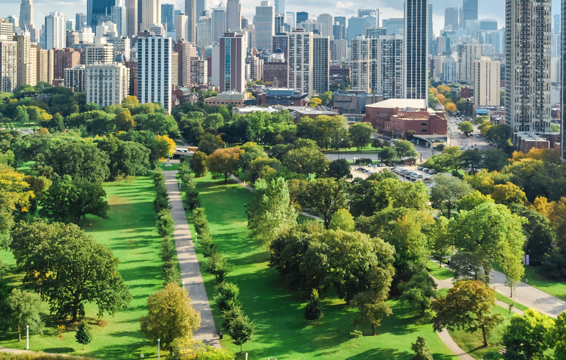 The Urban Forest: Challenges and Opportunities - HalfMoon Education, Inc