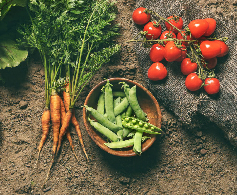 USDA National Organic Program: Rules and Compliance - HalfMoon ...