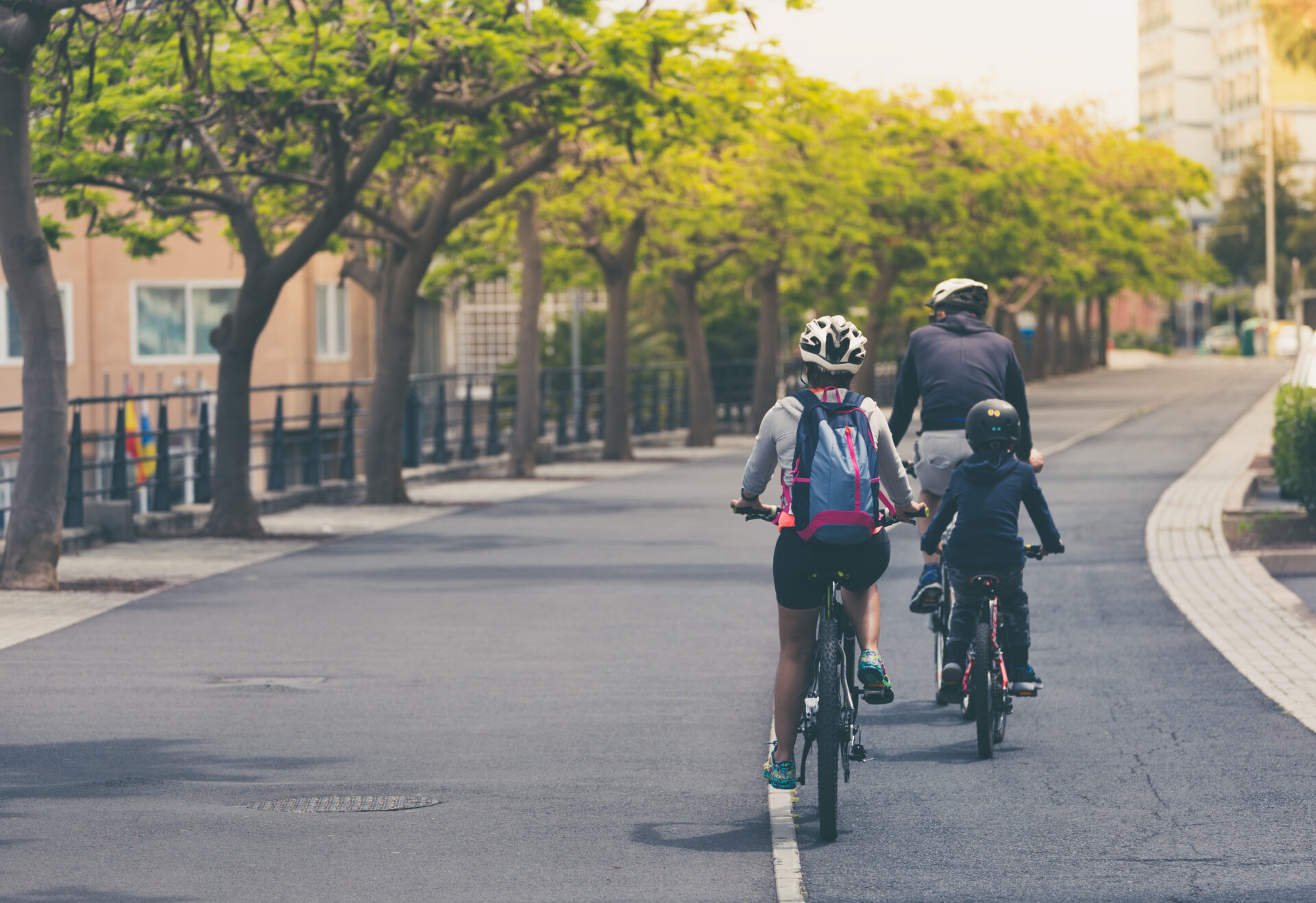 Urban Bikeway Design and Construction - HalfMoon Education, Inc