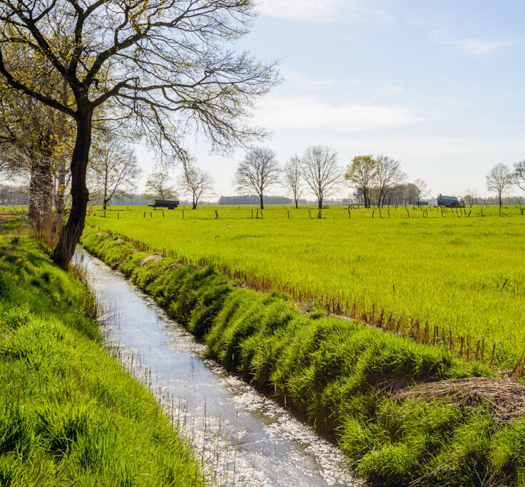 Stormwater Best Management Practices: Filter Strips and Drainage Swales ...