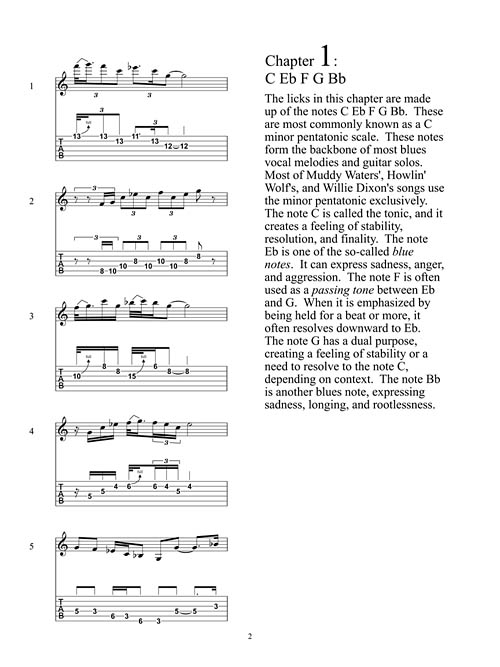 2000 BLUES LICKS THAT ROCK! - Lawrence Fritts na Freenote