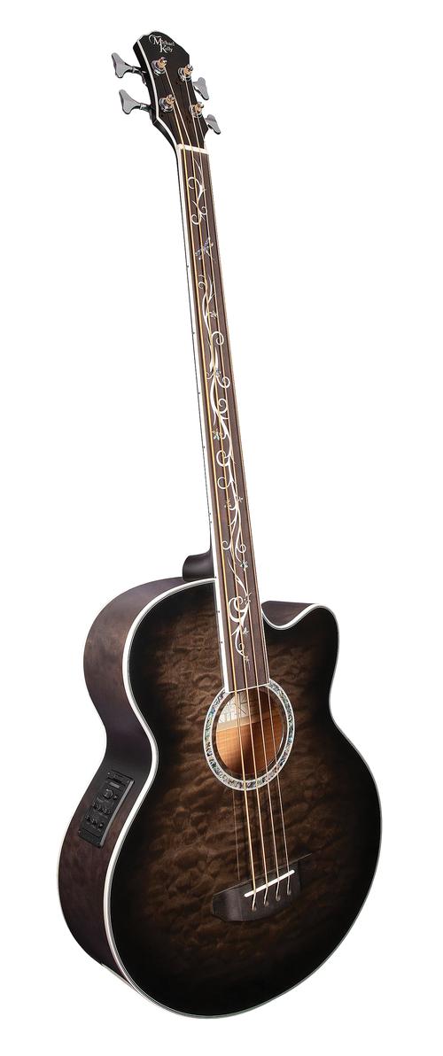 Dragonfly 4 Fretless Acoustic Bass with Smoke Burst Finish - Willis ...