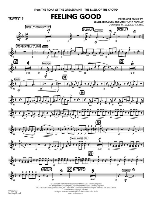 Feeling Good Sheet Music by Roger Holmes (SKU: 07500133) - Stanton's ...