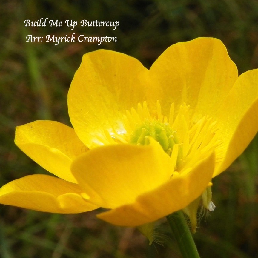 Build Me Up, Buttercup (arr. Myrick Crampton) Sheet Music | The ...
