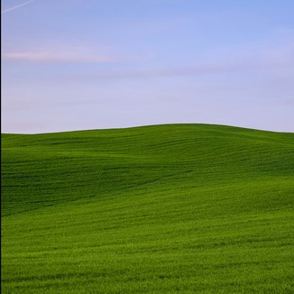 Your Way's Better by Forrest Frank Sheet Music for Piano Solo at Sheet Music Direct