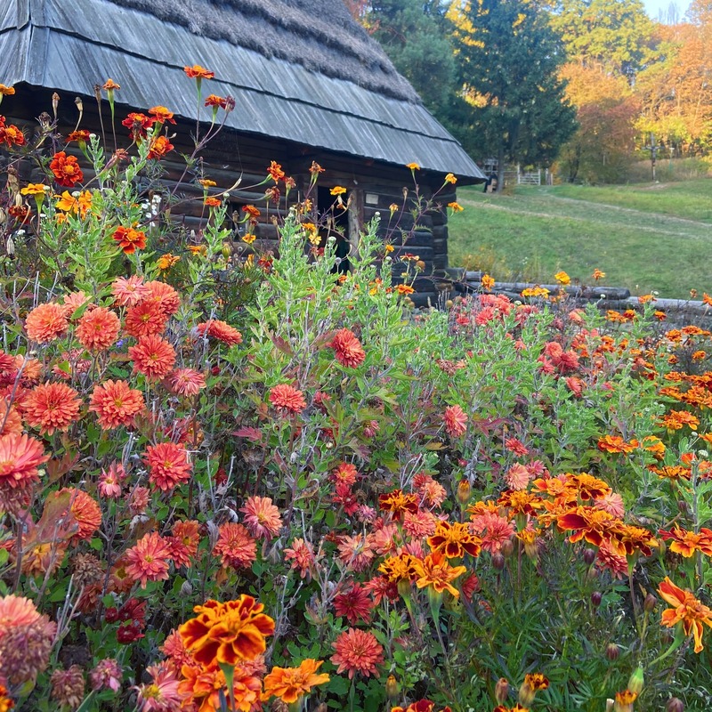 Oh! Susanna (arr. Dominic Meccia) by Stephen C. Foster Sheet Music for ...