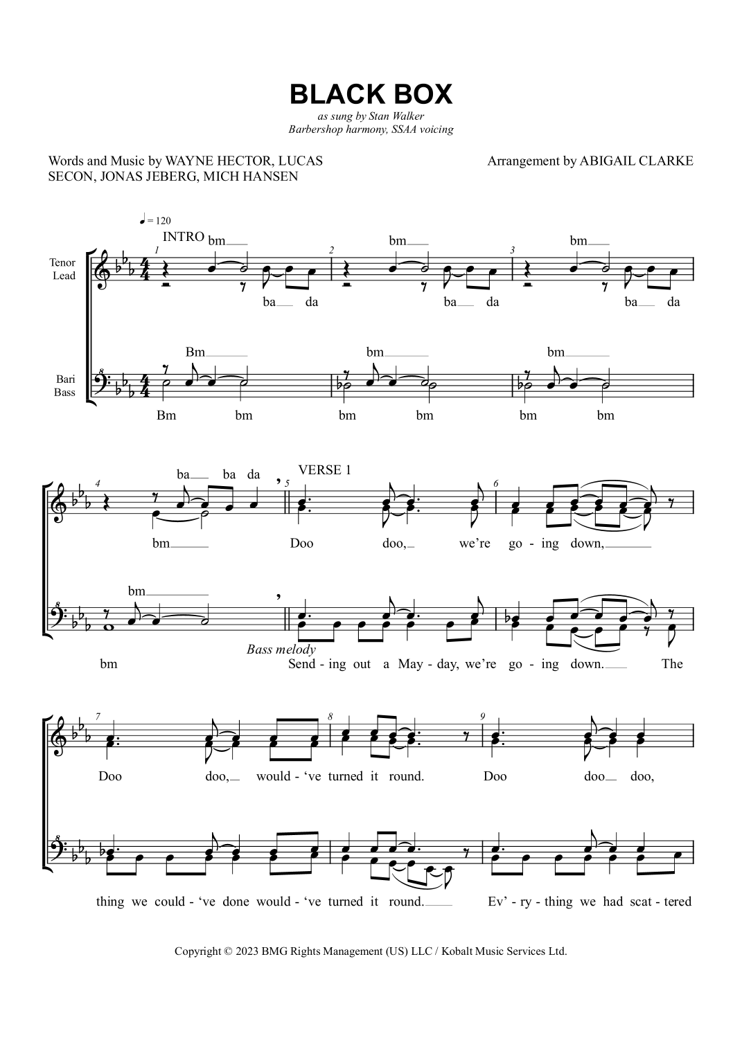 Black Box (arr. Abigail Clarke) par Stan Walker Partitions pour Choeur SSAA sur Sheet Music Direct