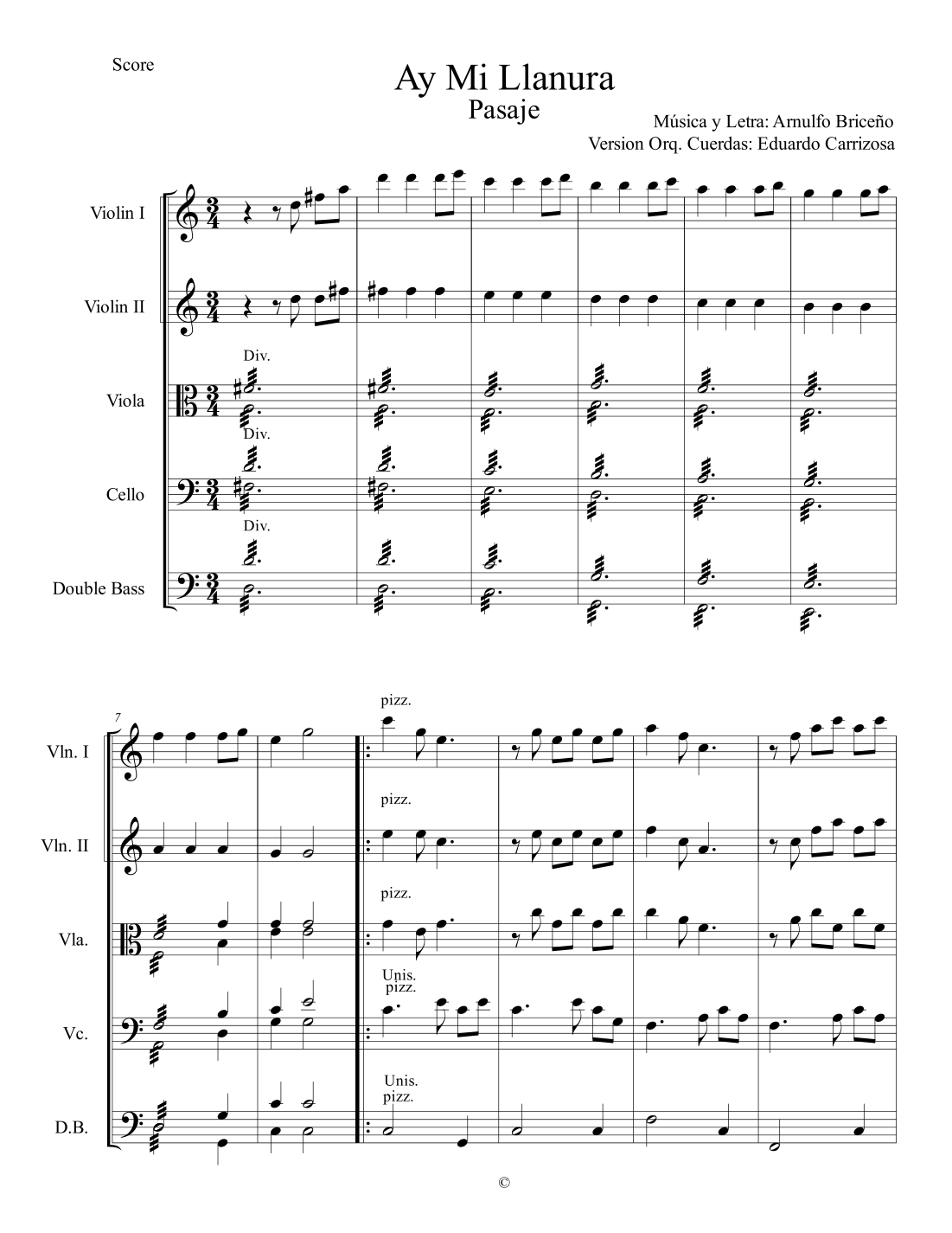 Ay mi LLanura (arr. Eduardo Carrizosa) by Academia Musical CONCERTO ...