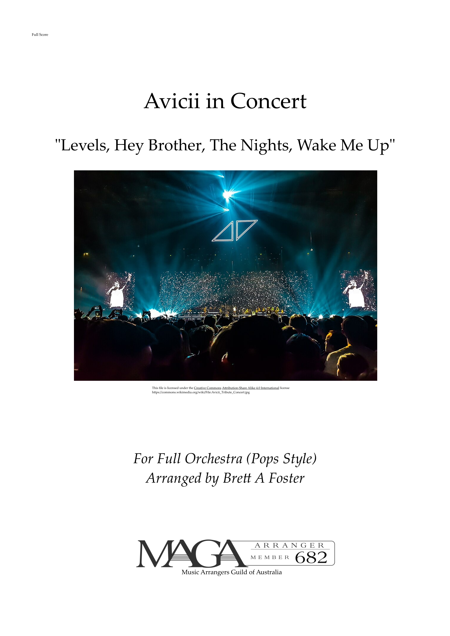 Medley: Levels with Hey Brother, The Nights, and Wake Me Up (arr. Brett ...