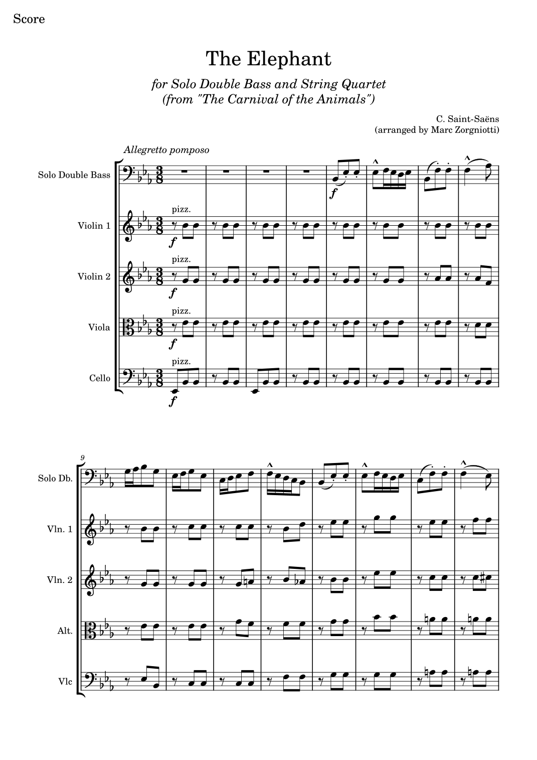 Saint-Saëns - The Elephant for Solo Double Bass and String Quartet ...