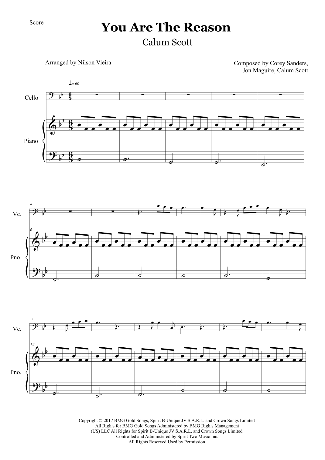 You Are The Reason (arr. Nilson de Melo Vieira) by Calum Scott Sheet ...
