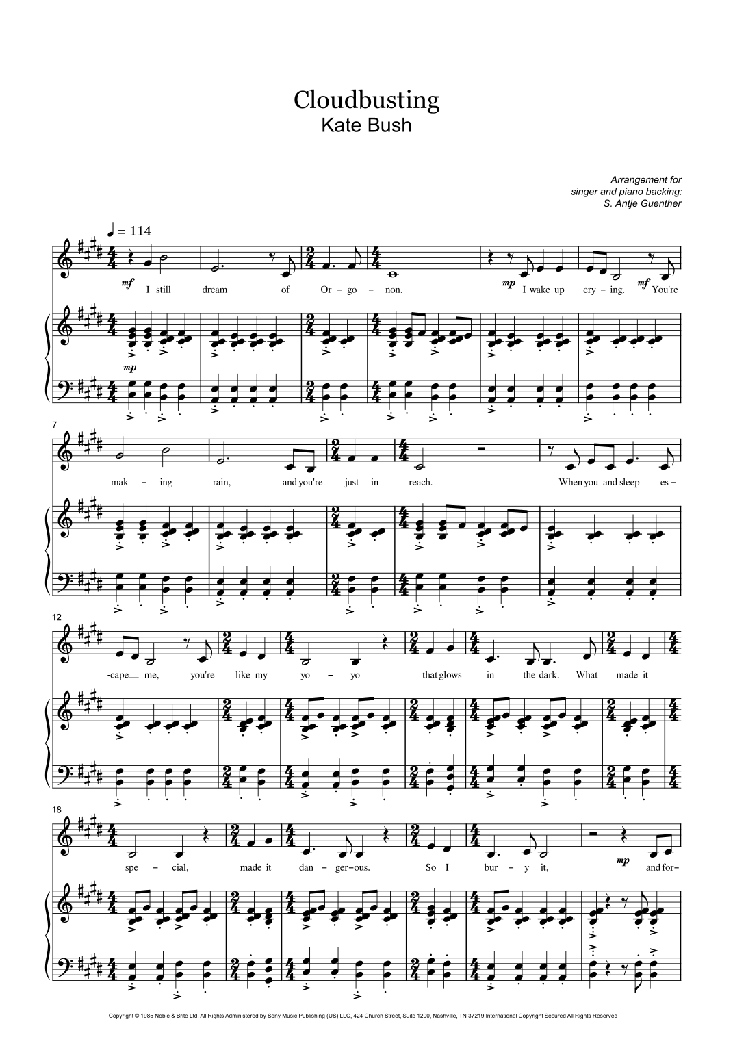 Cloudbusting (arr. S. Antje Guenther by Kate Bush Sheet Music for Piano ...