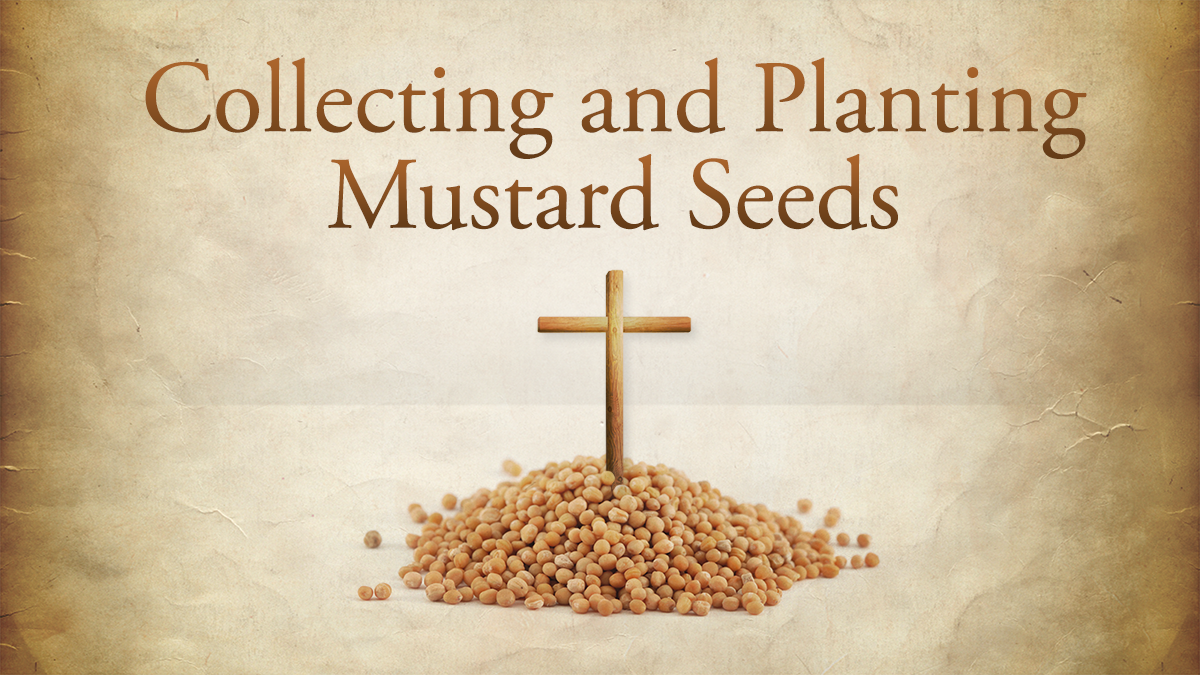 Collecting and Planting Mustard Seeds – Hartsville Pike Church of Christ