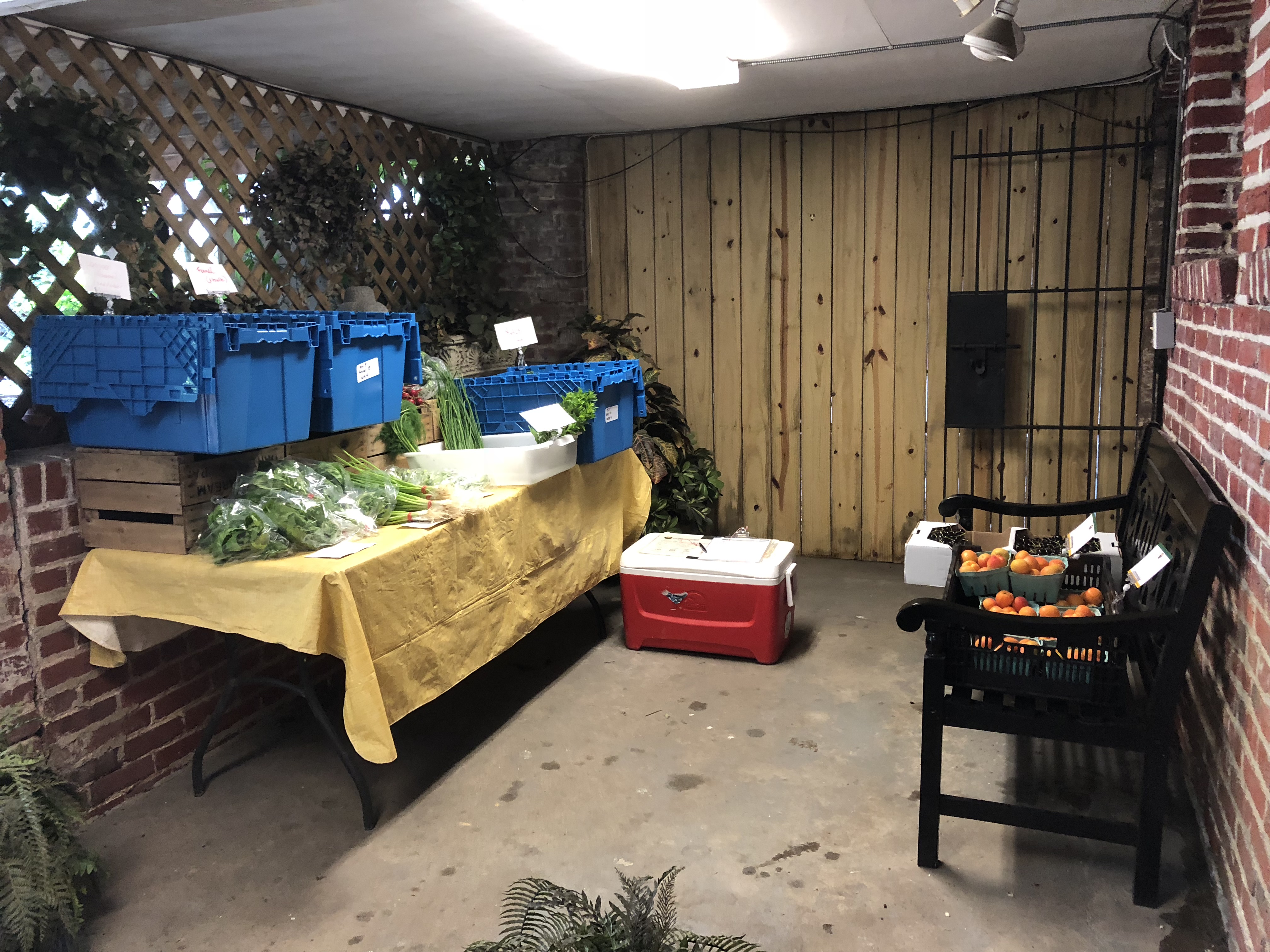 This is Growing Weather! - Farm Happenings at Earth Spring Farm CSA ...