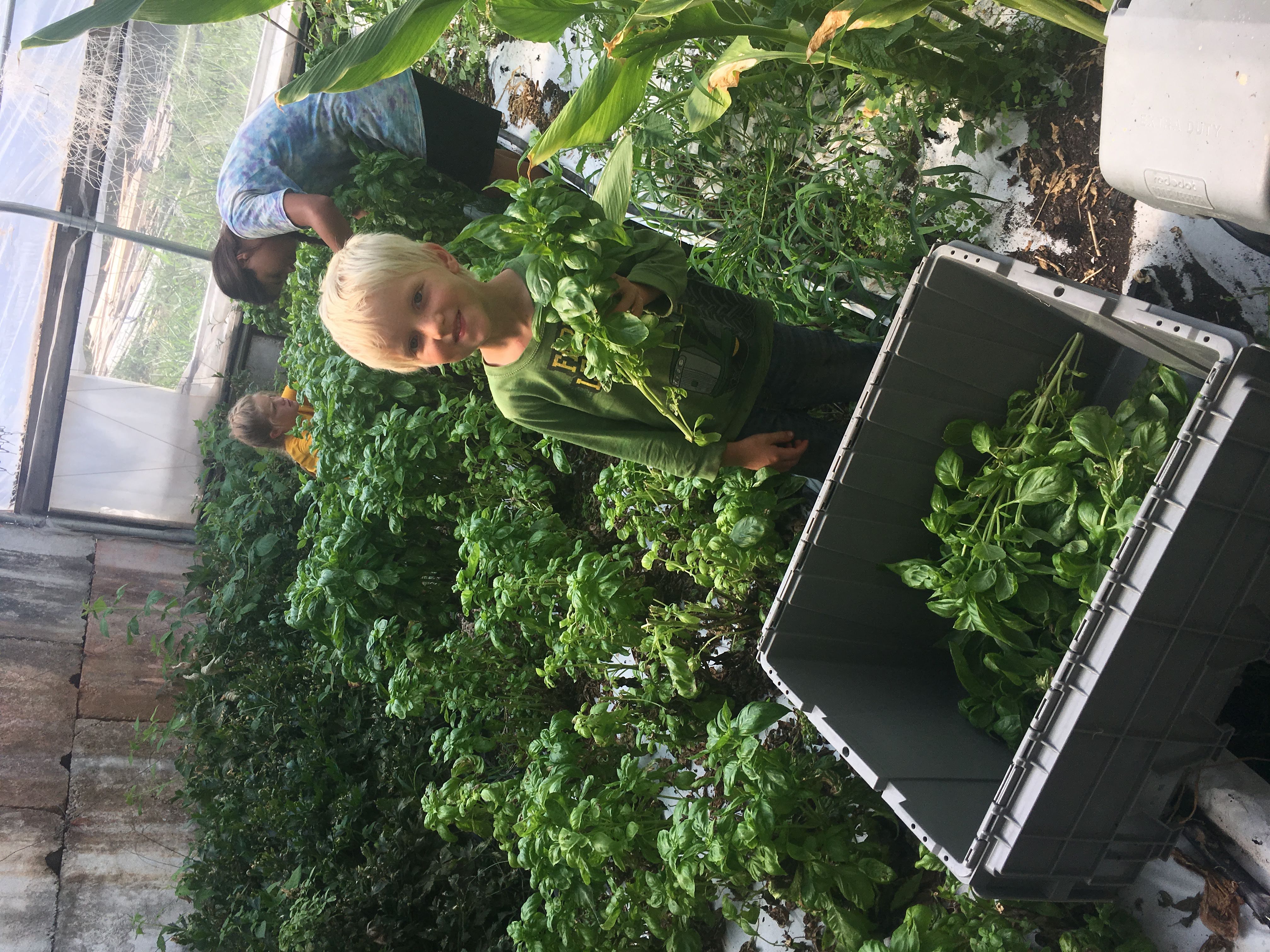 Planting For The Future, Harvesting For The Present - Farm Happenings ...