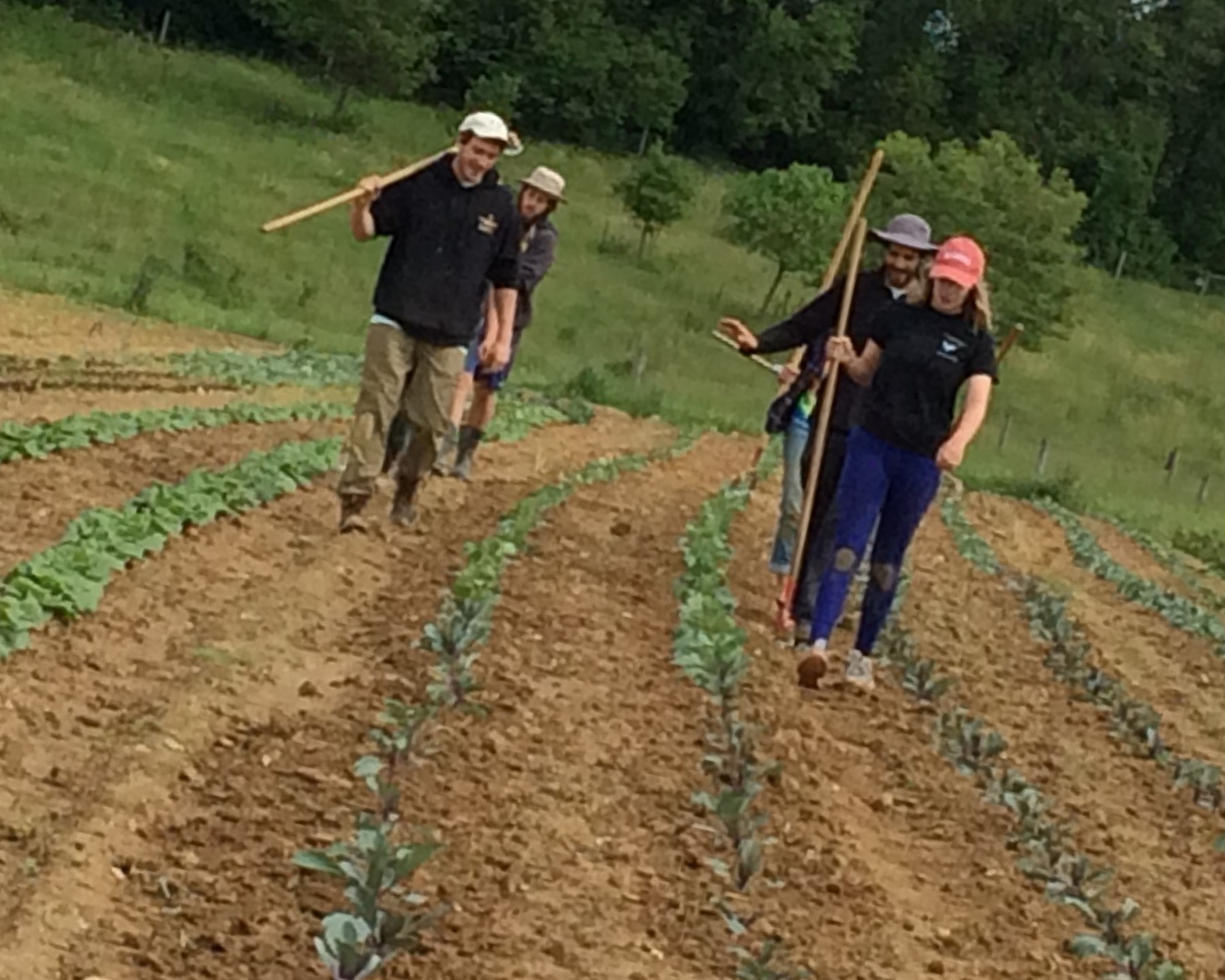 Dickinson College Farm Field Notes for Week of May 27th - Farm ... Dickinson College Farm Field Notes for Week of May 27th - Farm ...