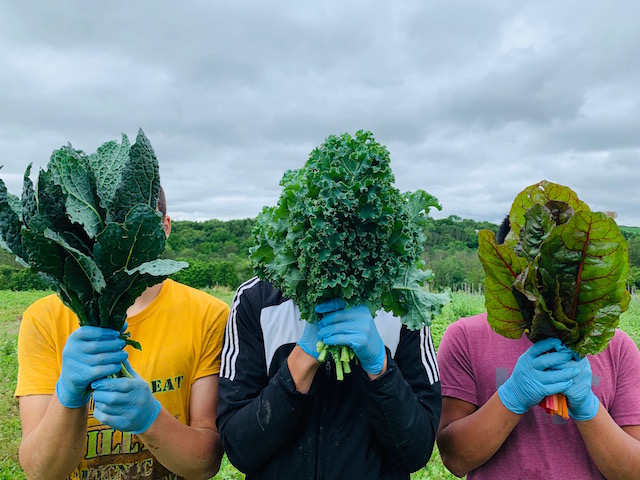 Rain! Rain! Go Away! - Farm Happenings at Red Earth Farm - Harvie