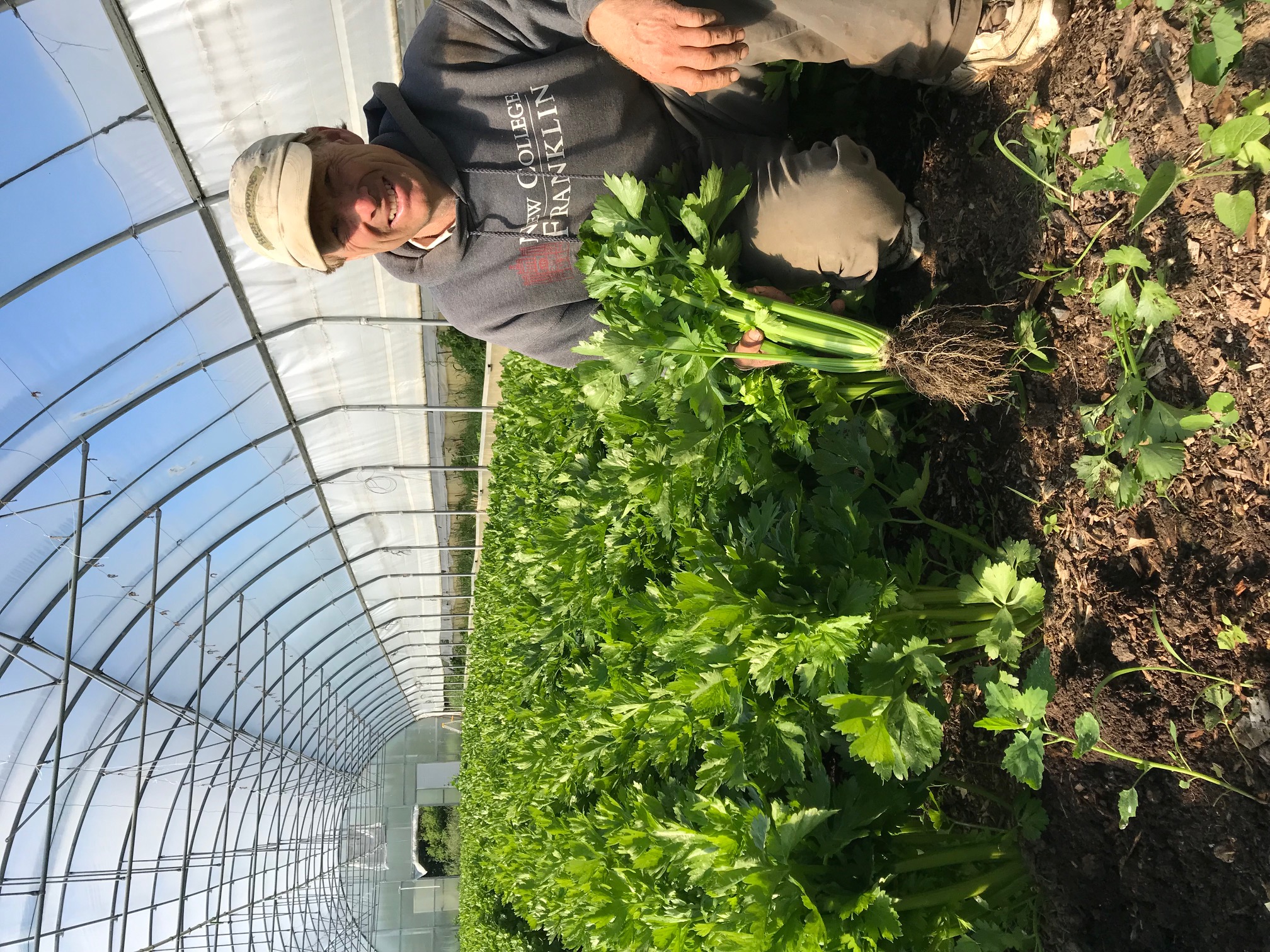 Farm Happenings for June 27, 2019 - Farm Happenings at Springdale Farm ...