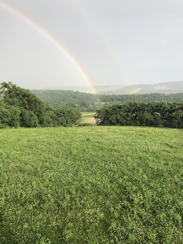 Roll in July - Farm Happenings at Red Earth Farm - Harvie
