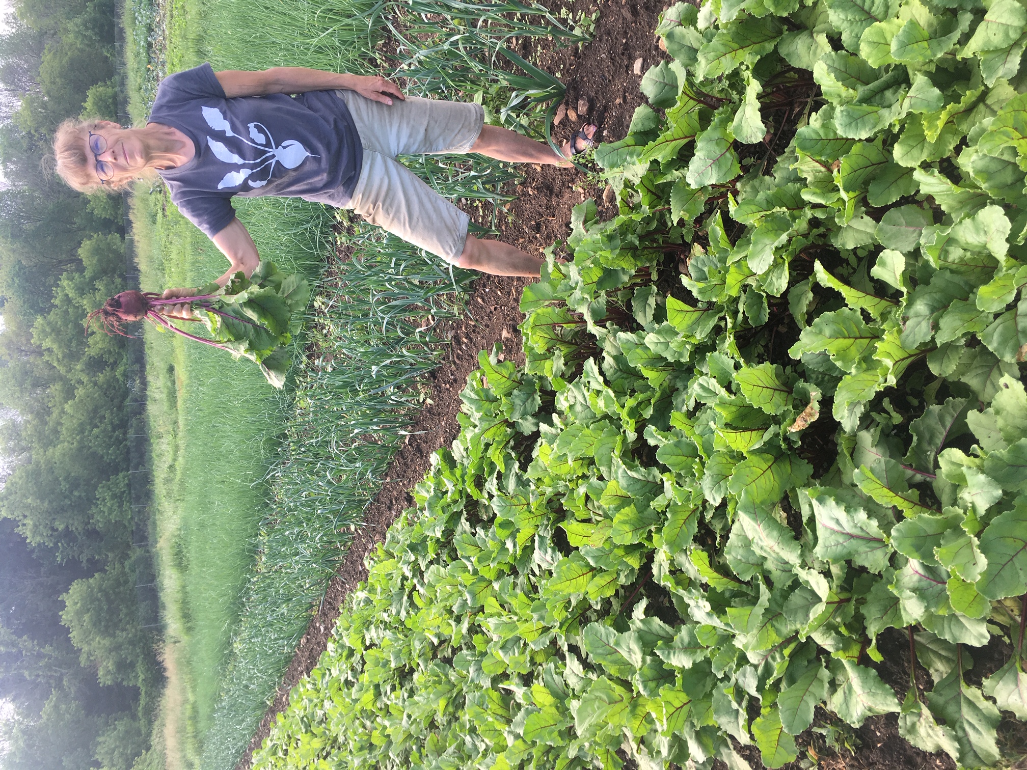 Farm Happenings for July 3, 2019 - Farm Happenings at Springdale Farm ...