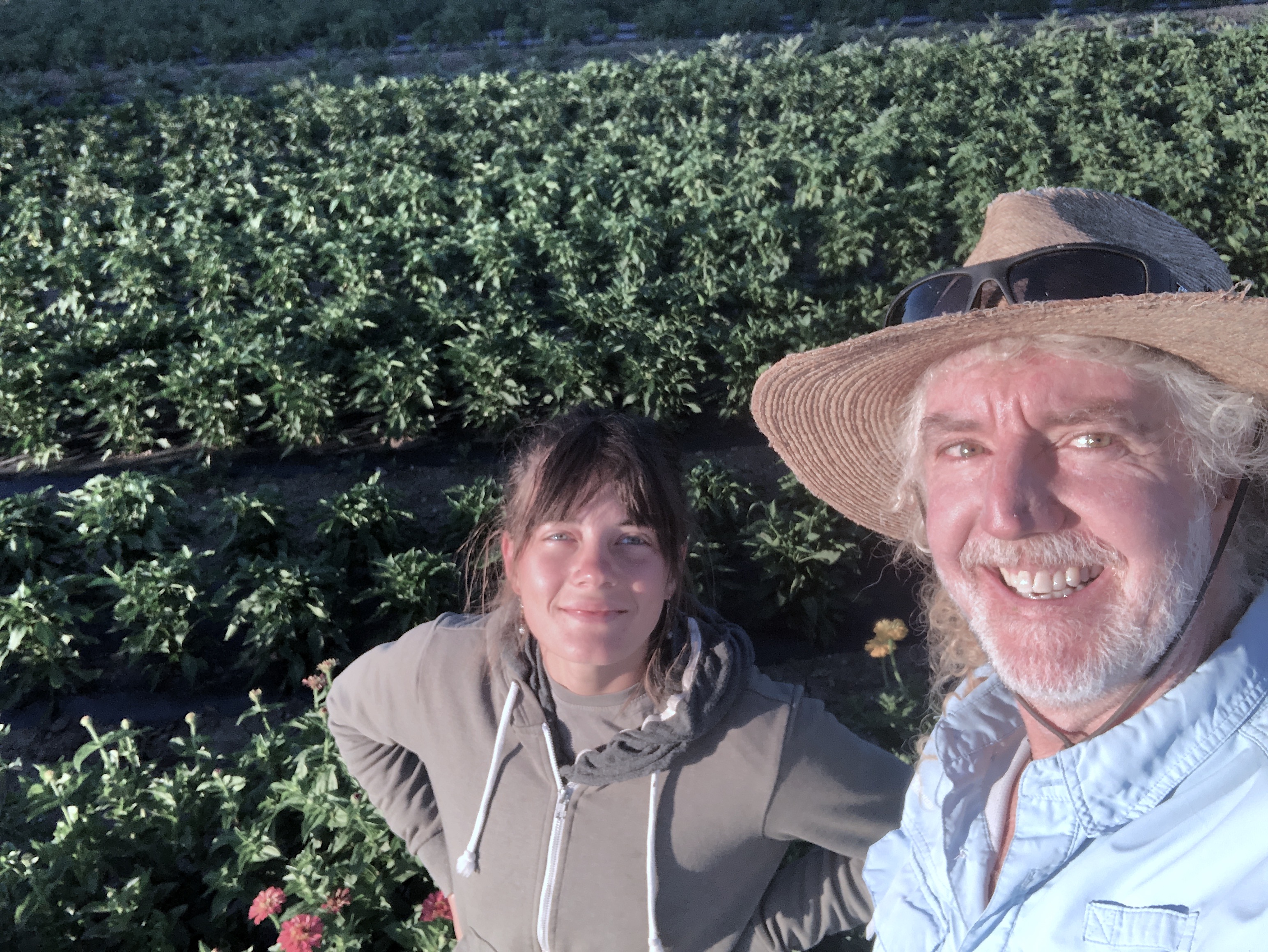 Here come the summer crops. - Farm Happenings at Kilt Farm - Harvie