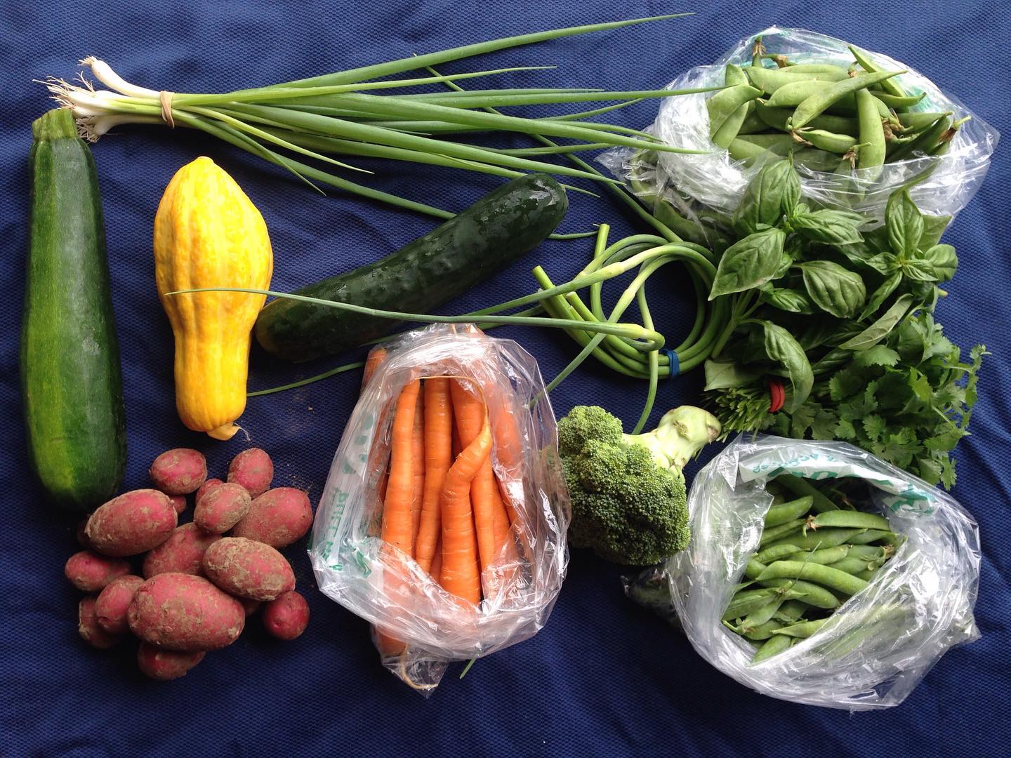 Summer Share: Week 8 - Farm Happenings at Meadowlark Community Farm ...