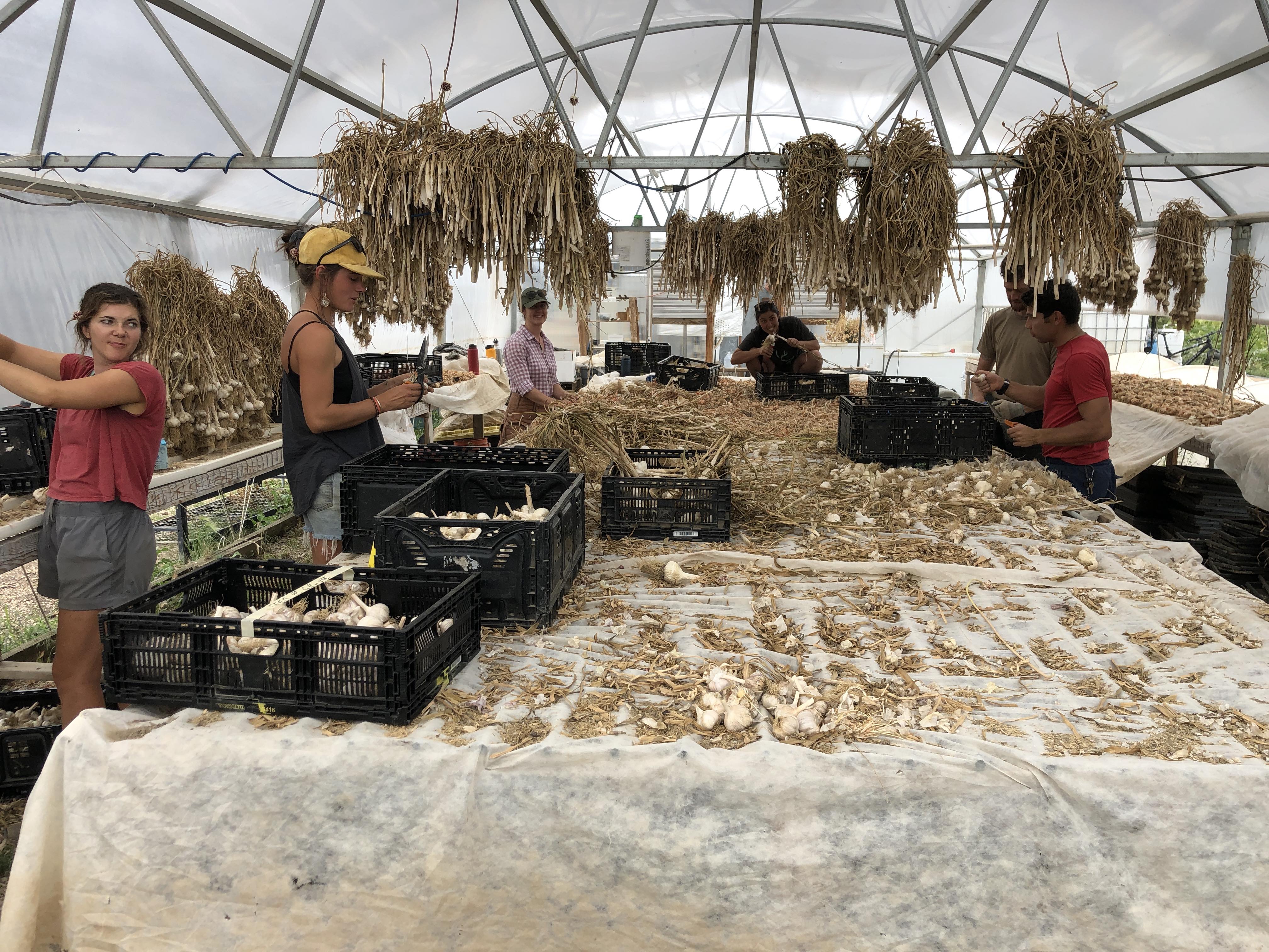 Moving into a new phase of the year. - Farm Happenings at Kilt Farm ...