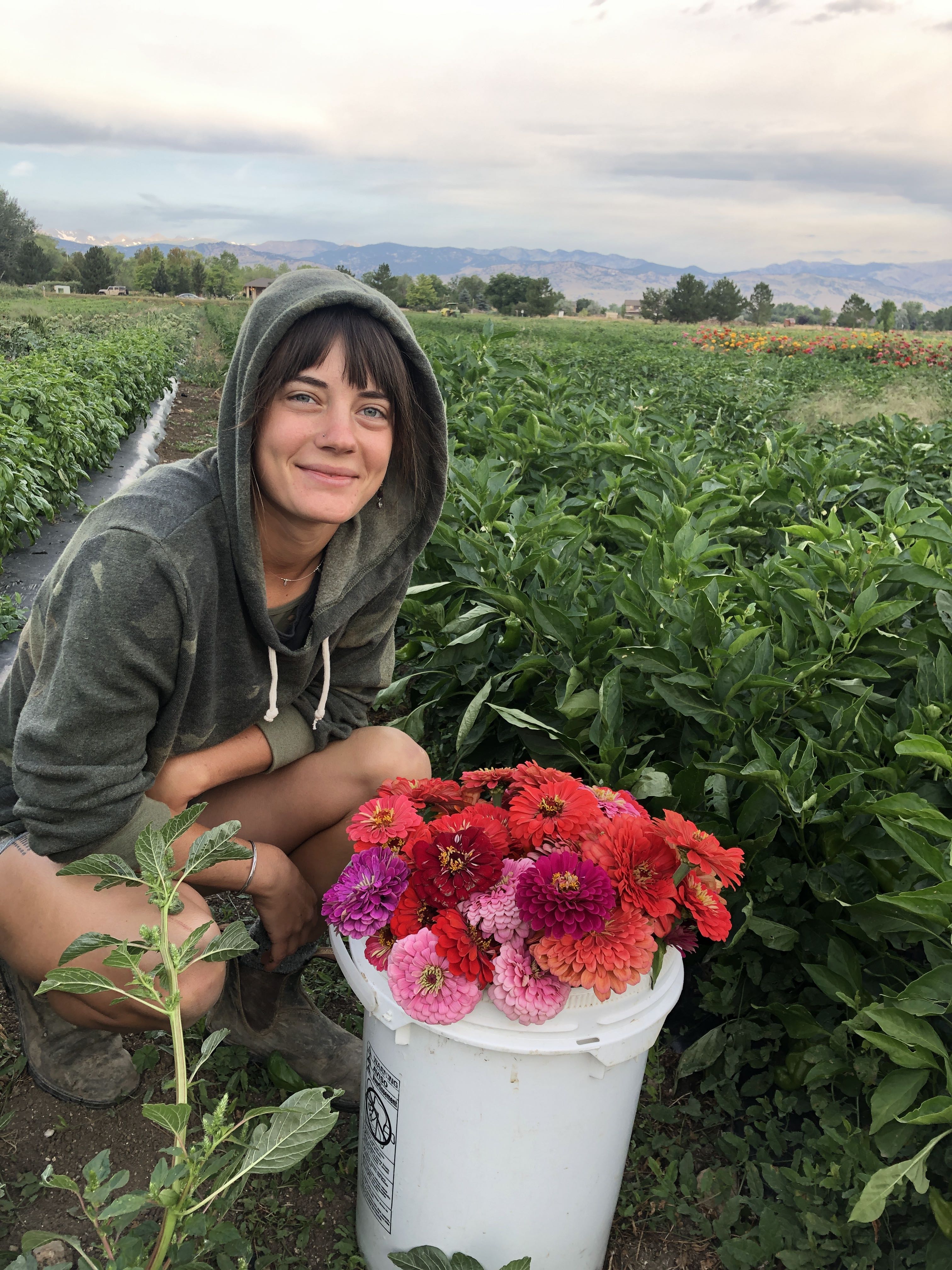 Late August Magic - Farm Happenings at Kilt Farm - Harvie