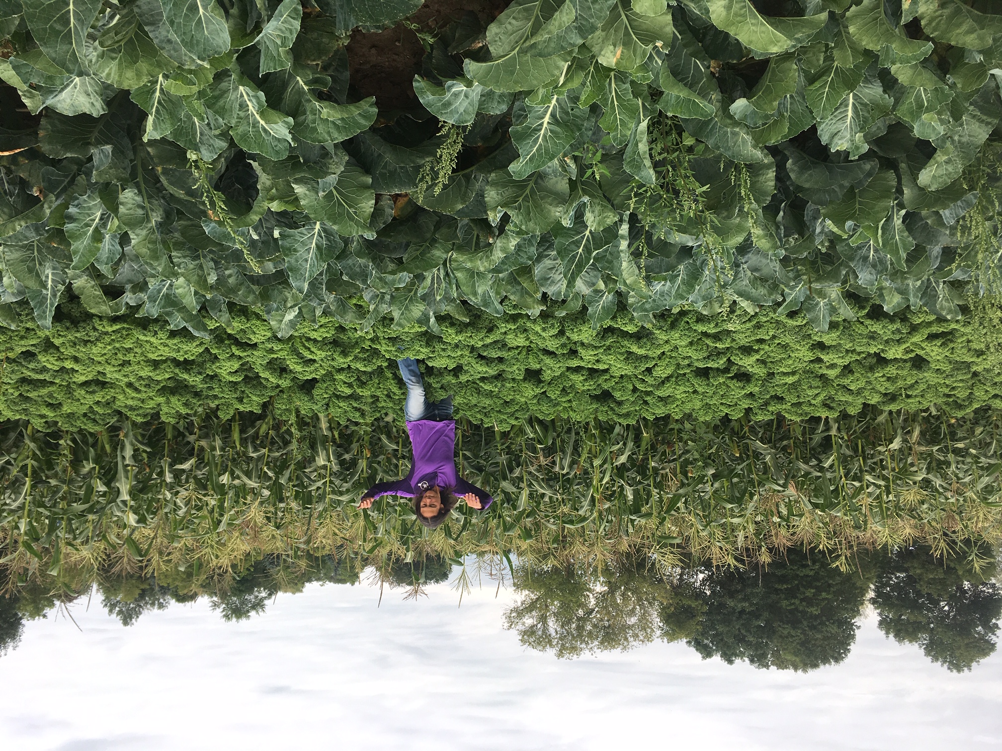 Farm Happenings for August 30, 2019 - Farm Happenings at Springdale ...