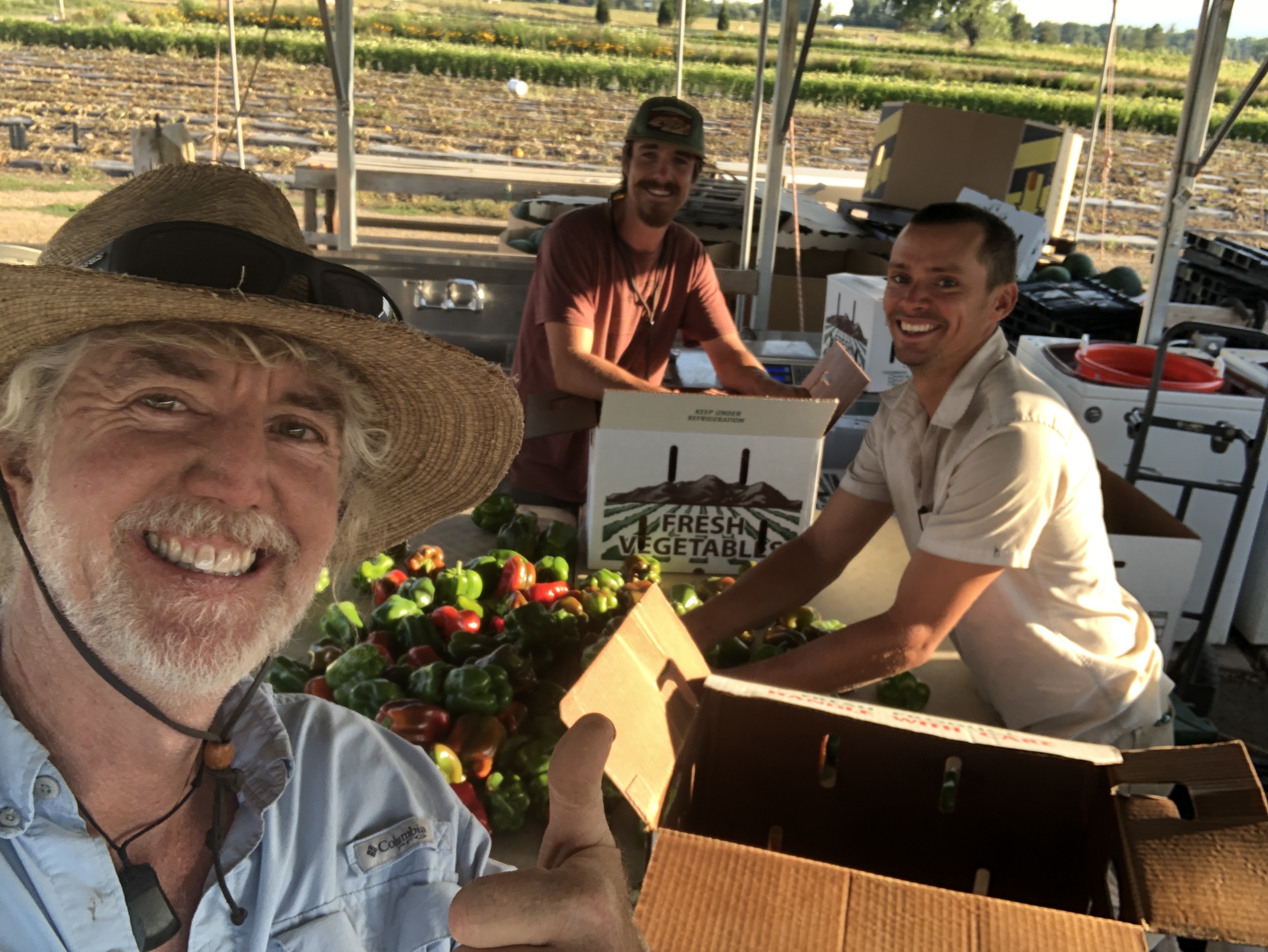 Week 17 of the CSA and we are far from done! - Farm Happenings at Kilt ...