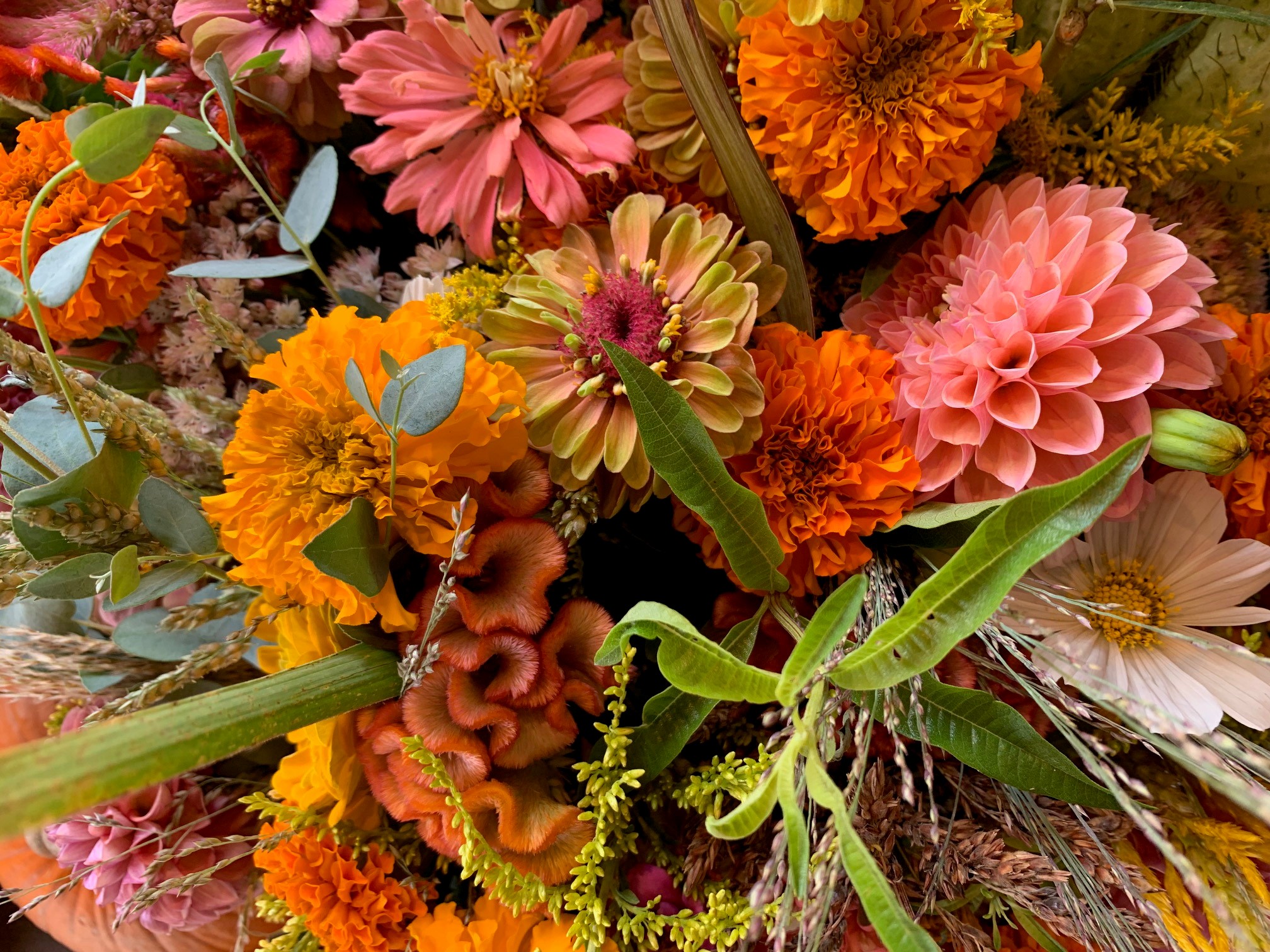 Good Company - Farm Happenings at Willowsford Farm - Harvie