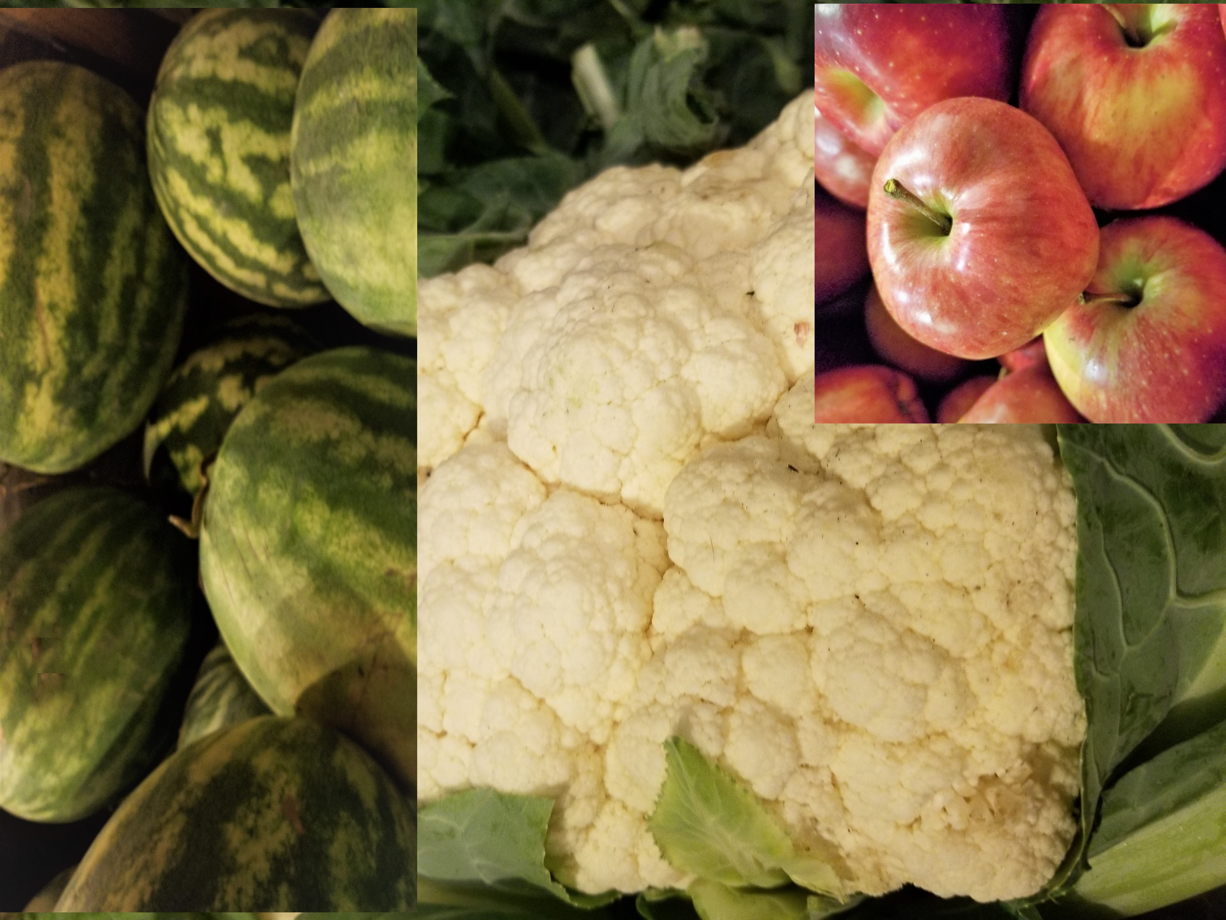 Happy Harvest - Farm Happenings at BMA FARM - Harvie