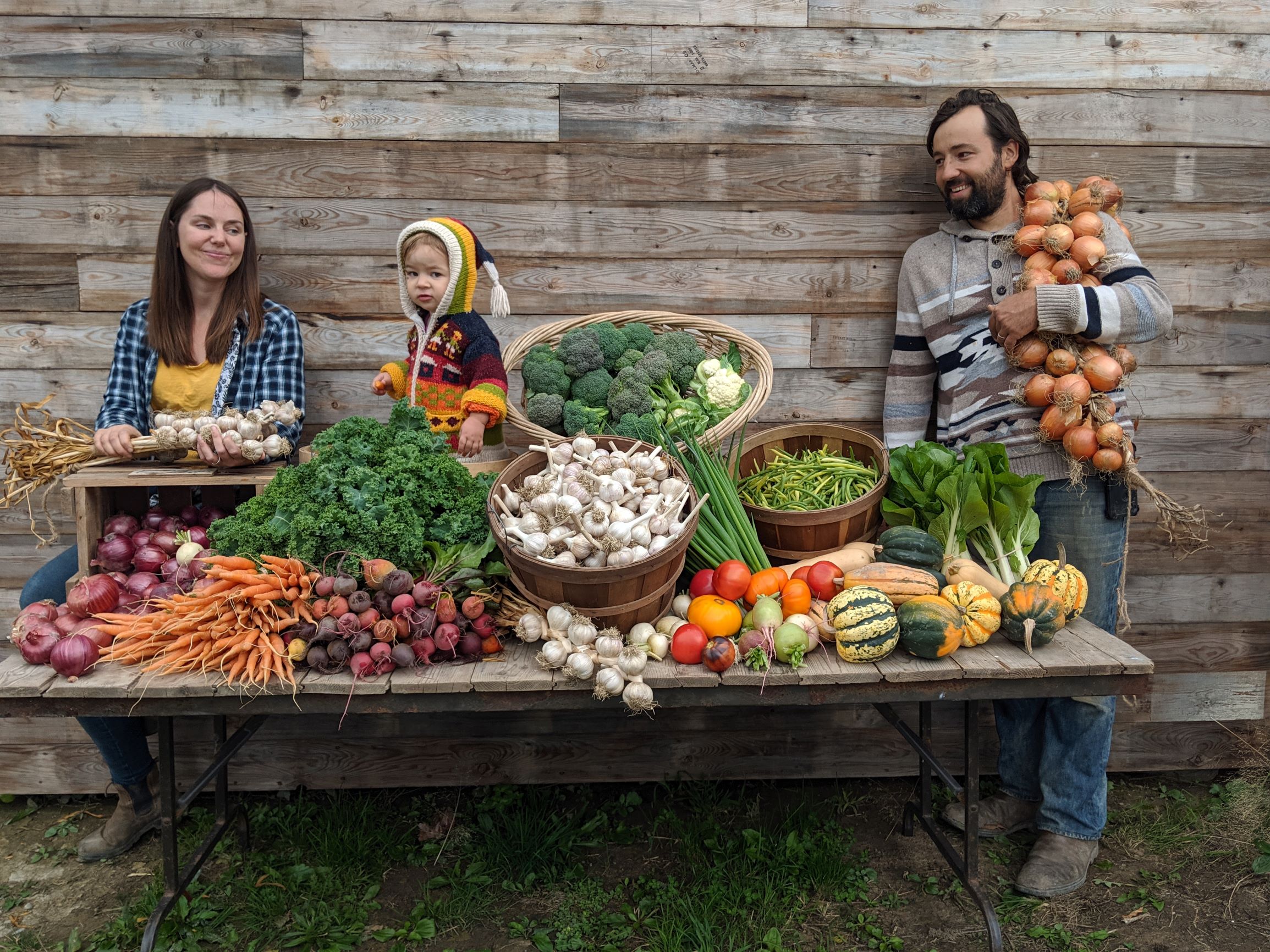 Veggie Share - Week 19 - Farm Happenings at Mulberry Moon Farm - Harvie