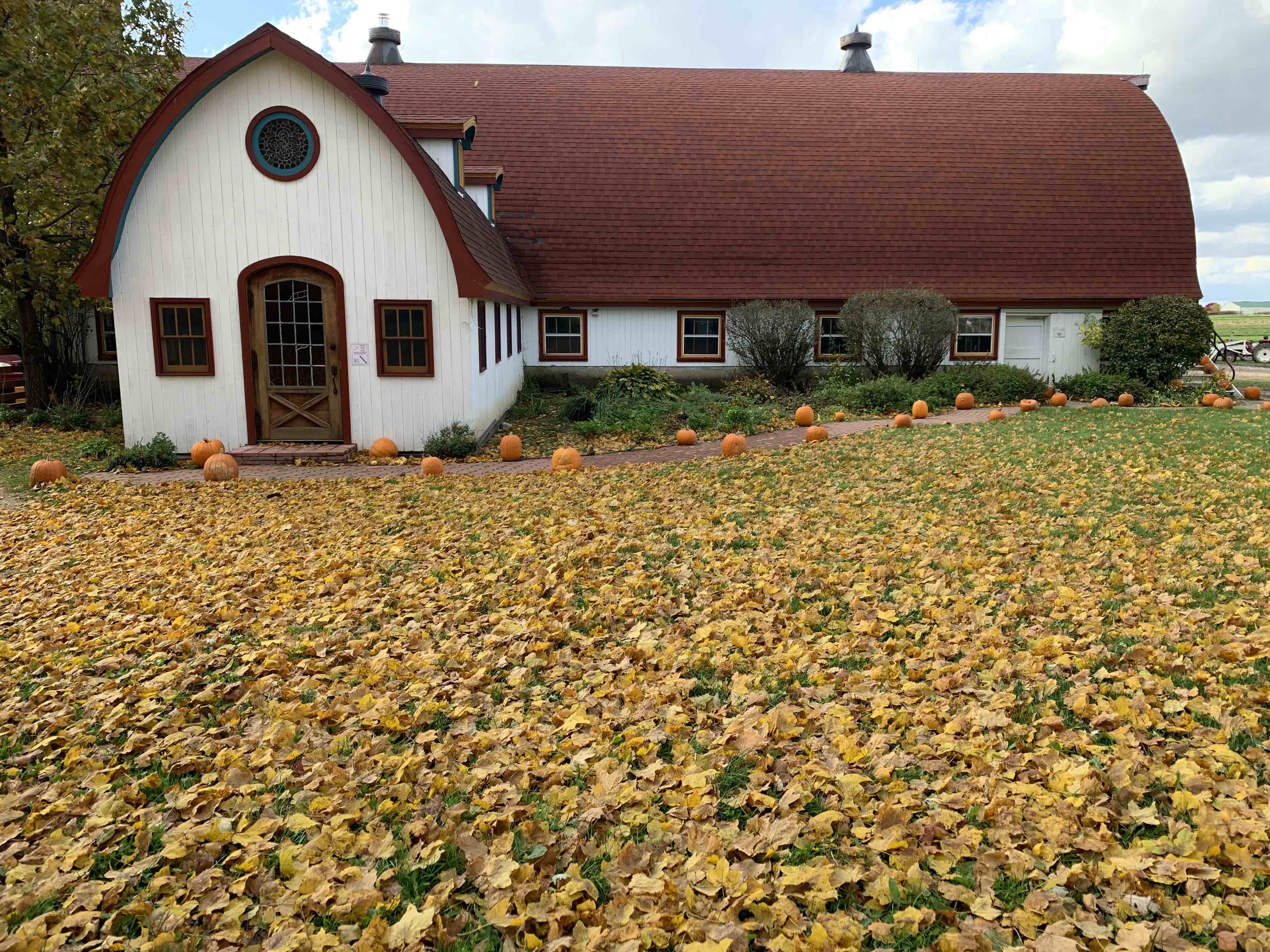 Week 17 Farm News Coming Soon - Farm Happenings at Angelic Organics ...